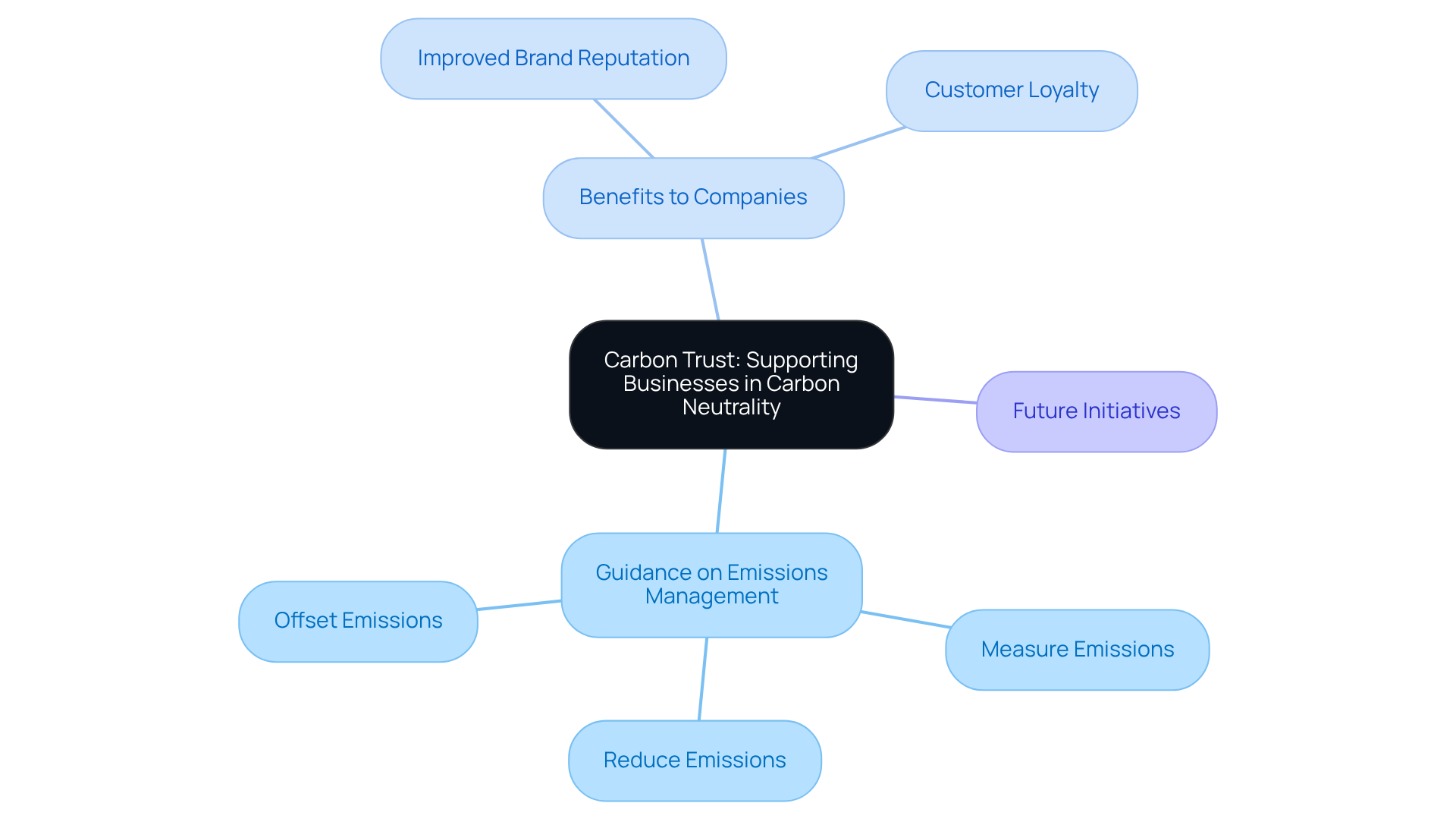 Start at the center with the Carbon Trust's mission, then explore how they guide businesses and the benefits that arise from their support. Each branch represents a different aspect of their work. Start at the center with the Carbon Trust's mission, then explore how they guide businesses and the benefits that arise from their support. Each branch represents a different aspect of their work.