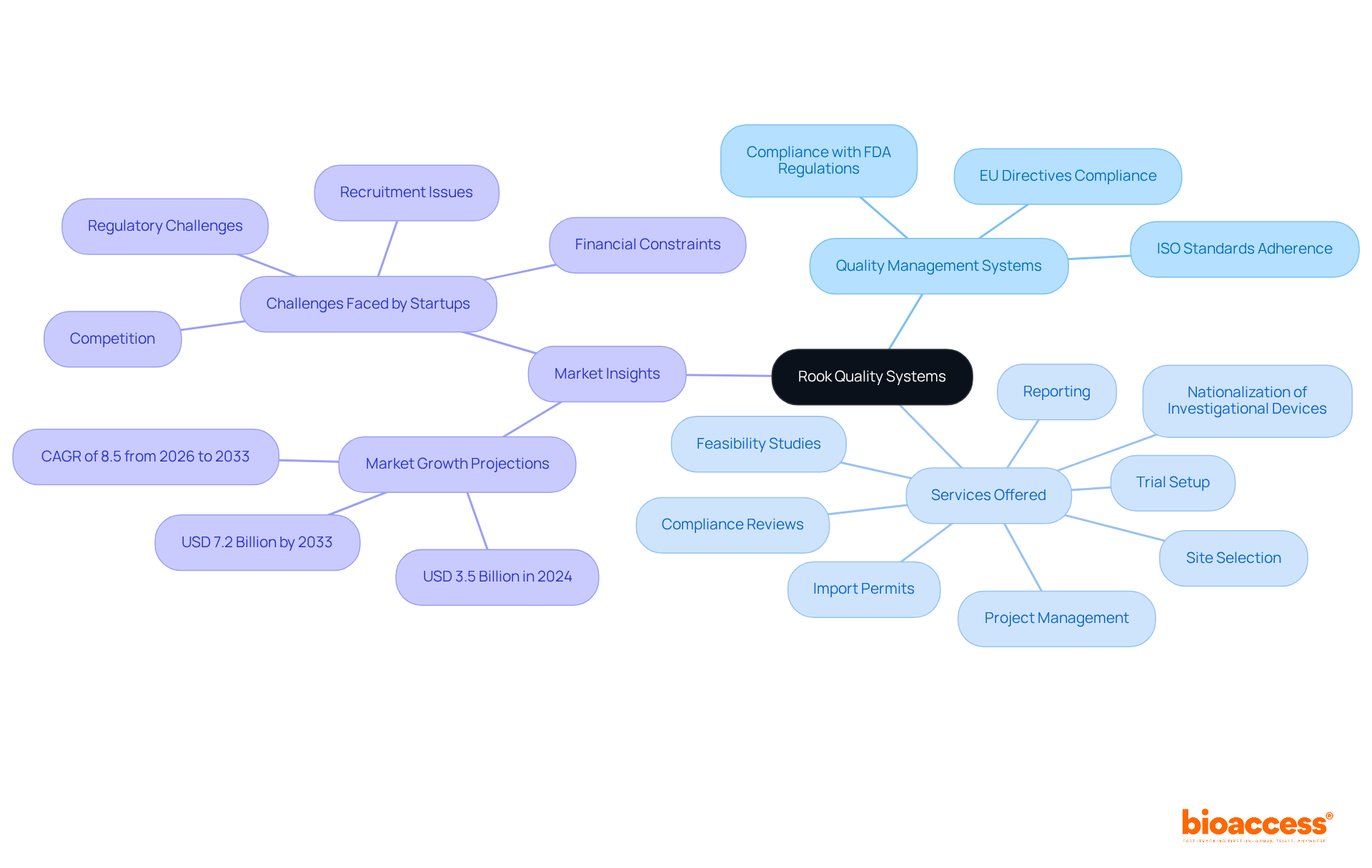 The central node represents Rook Quality Systems, with branches illustrating their focus areas and specific services. Each branch shows how the company supports medical device firms in navigating regulatory challenges.