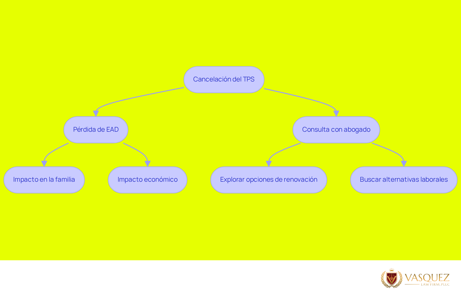 Cada paso en el diagrama muestra cómo la cancelación del TPS afecta a los permisos de trabajo y las decisiones que deben tomar los individuos para proteger su estabilidad laboral y económica.