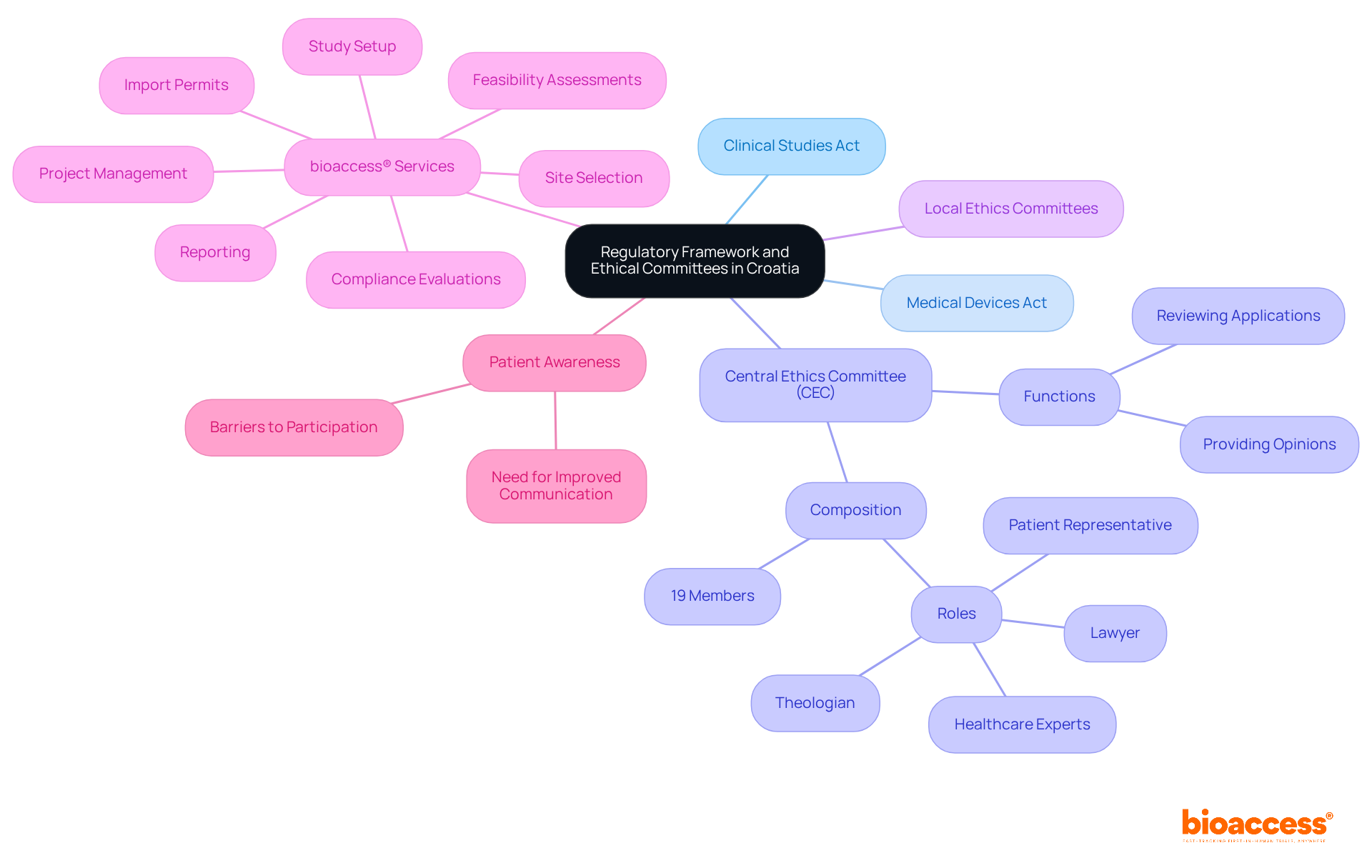 The central node represents the main topic, while branches show different aspects of the regulatory framework and ethical committees. Each color-coded branch helps you navigate through the various components, making it easy to understand how they connect.