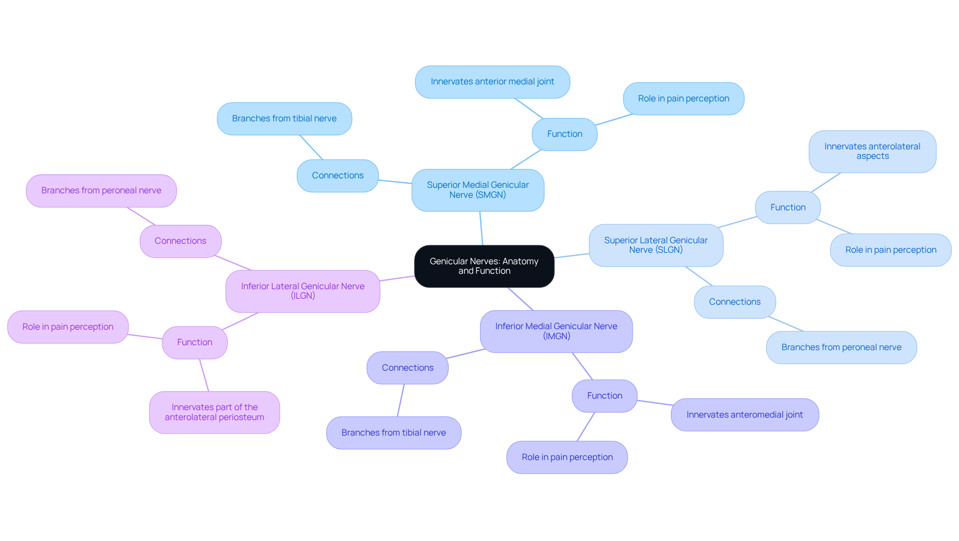 This mindmap starts with the main topic of genicular nerves at the center. Each branch represents a specific nerve type, and the sub-branches explain their roles and connections. This layout helps you see how each nerve contributes to understanding and managing joint discomfort. This mindmap starts with the main topic of genicular nerves at the center. Each branch represents a specific nerve type, and the sub-branches explain their roles and connections. This layout helps you see how each nerve contributes to understanding and managing joint discomfort.