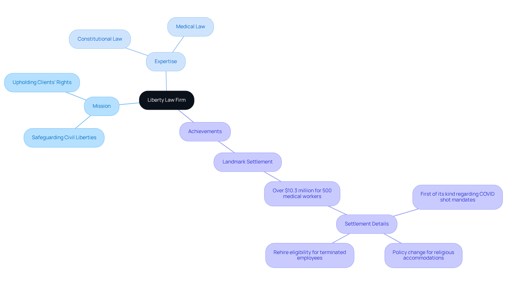 The center represents the firm, with branches showing its mission, areas of expertise, and key achievements. Each branch connects to specific details, illustrating how the firm operates and its impact.