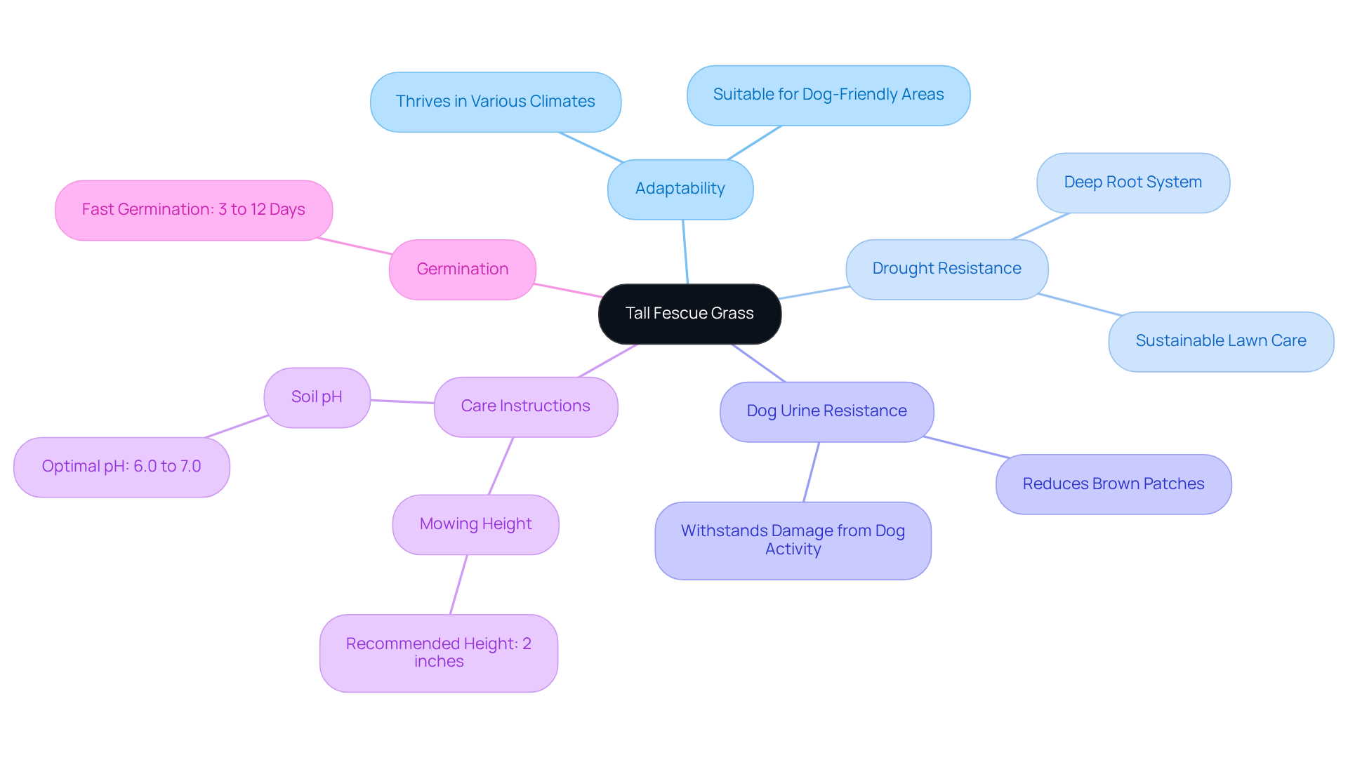 The central node represents Tall Fescue grass, and each branch shows a different benefit or care aspect. Follow the branches to understand how this grass can thrive in dog-friendly environments.
