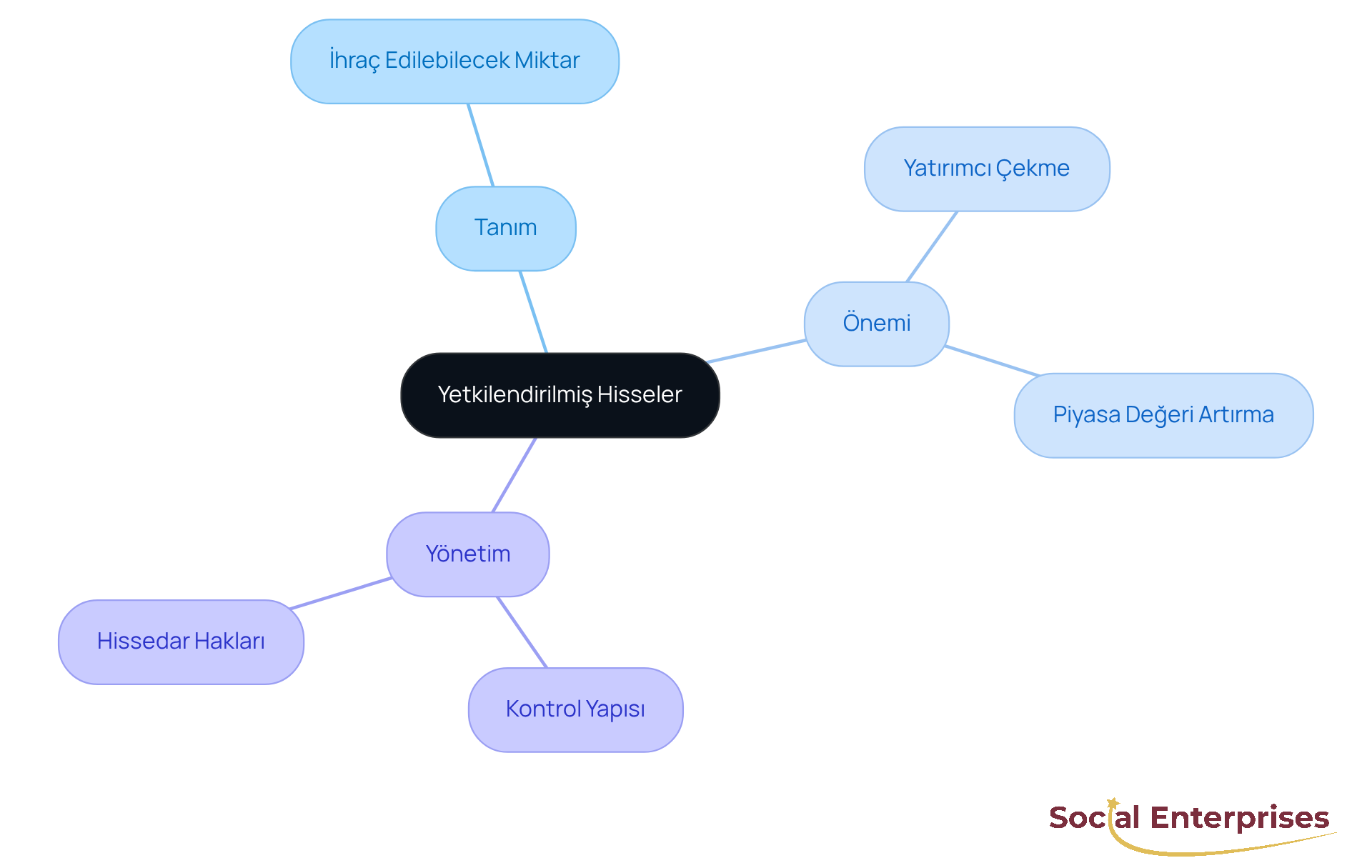 Merkezdeki ana kavramdan başlayarak, her dal ve alt başlık, yetkilendirilmiş hisselerin farklı yönlerini açıklıyor. Renkli dallar, konunun anlaşılmasını kolaylaştırıyor ve her bir kavramın önemini vurguluyor.