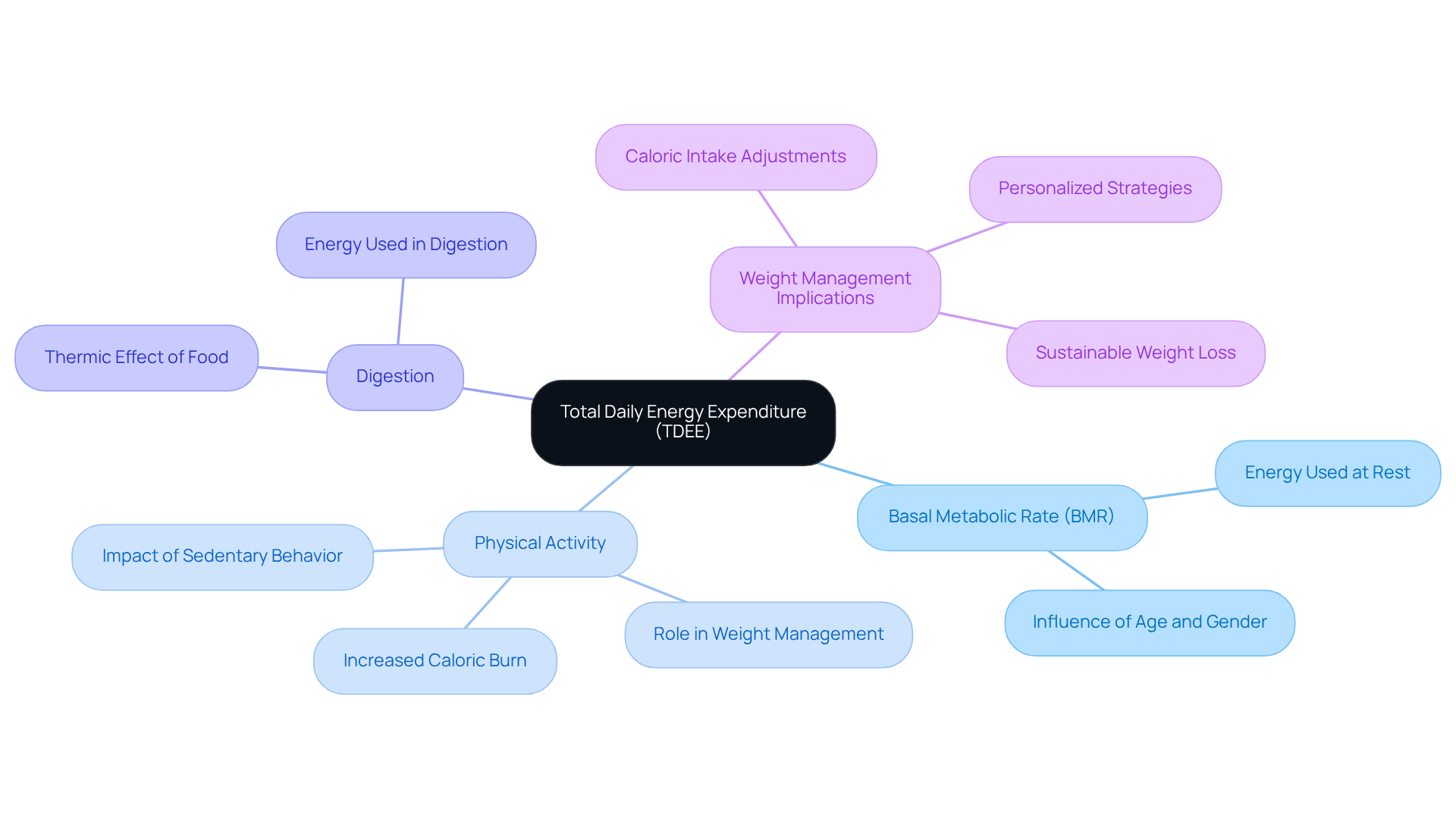 The central node represents TDEE, while the branches show its main components. Each sub-branch explains how these factors affect your energy use and weight management. Follow the branches to see how everything connects!