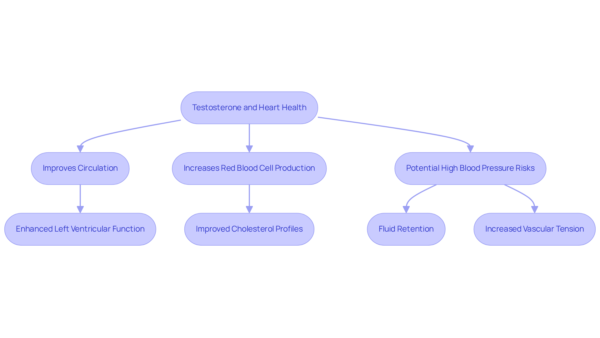 This flowchart illustrates how testosterone affects heart health. Follow the arrows to see how it improves circulation and red blood cell production, but also note the potential risks of high blood pressure. Each section helps you understand the balance needed in hormone therapy. This flowchart illustrates how testosterone affects heart health. Follow the arrows to see how it improves circulation and red blood cell production, but also note the potential risks of high blood pressure. Each section helps you understand the balance needed in hormone therapy.
