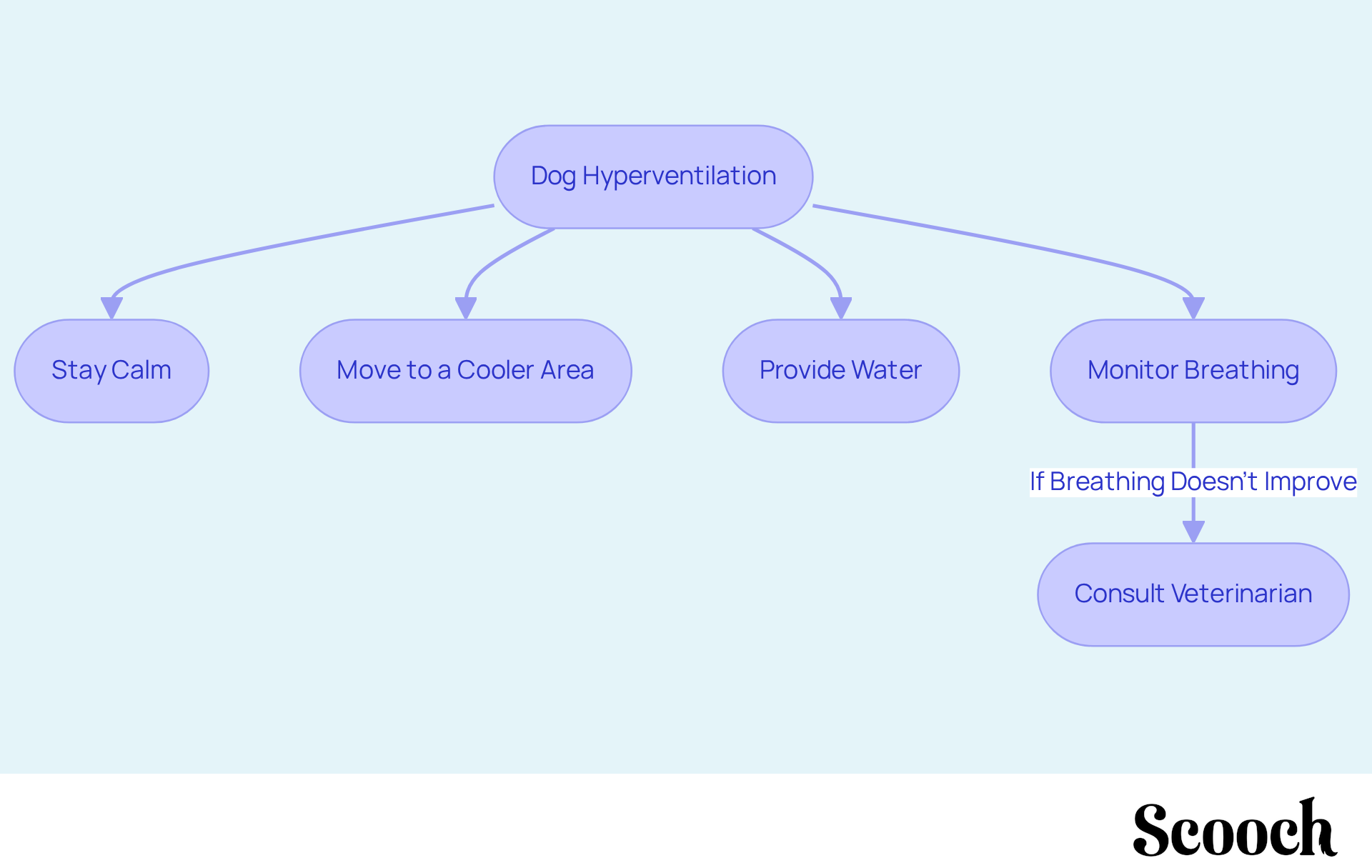Understanding Dog Hyperventilating: Causes, Remedies, and Prevention