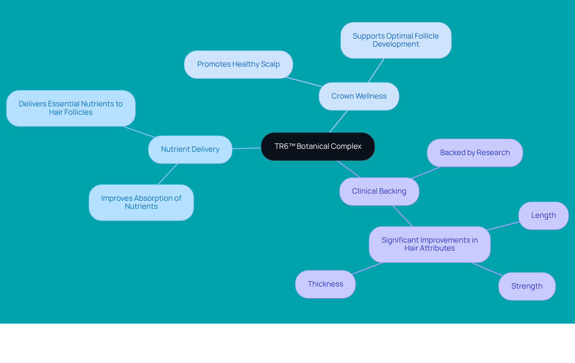 The central node represents the TR6™ Botanical Complex, while the branches show its key benefits. Each sub-branch provides more detail about how these benefits contribute to hair growth. The central node represents the TR6™ Botanical Complex, while the branches show its key benefits. Each sub-branch provides more detail about how these benefits contribute to hair growth.