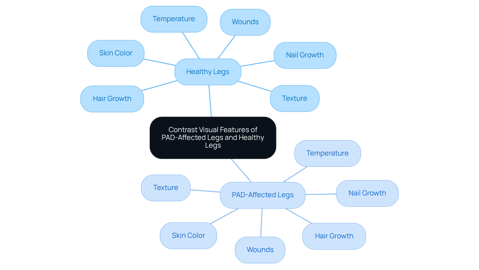 The central node represents the overall topic, while the branches show the differences between healthy legs and those affected by PAD. Each feature highlights how they differ, helping you understand what to look for.