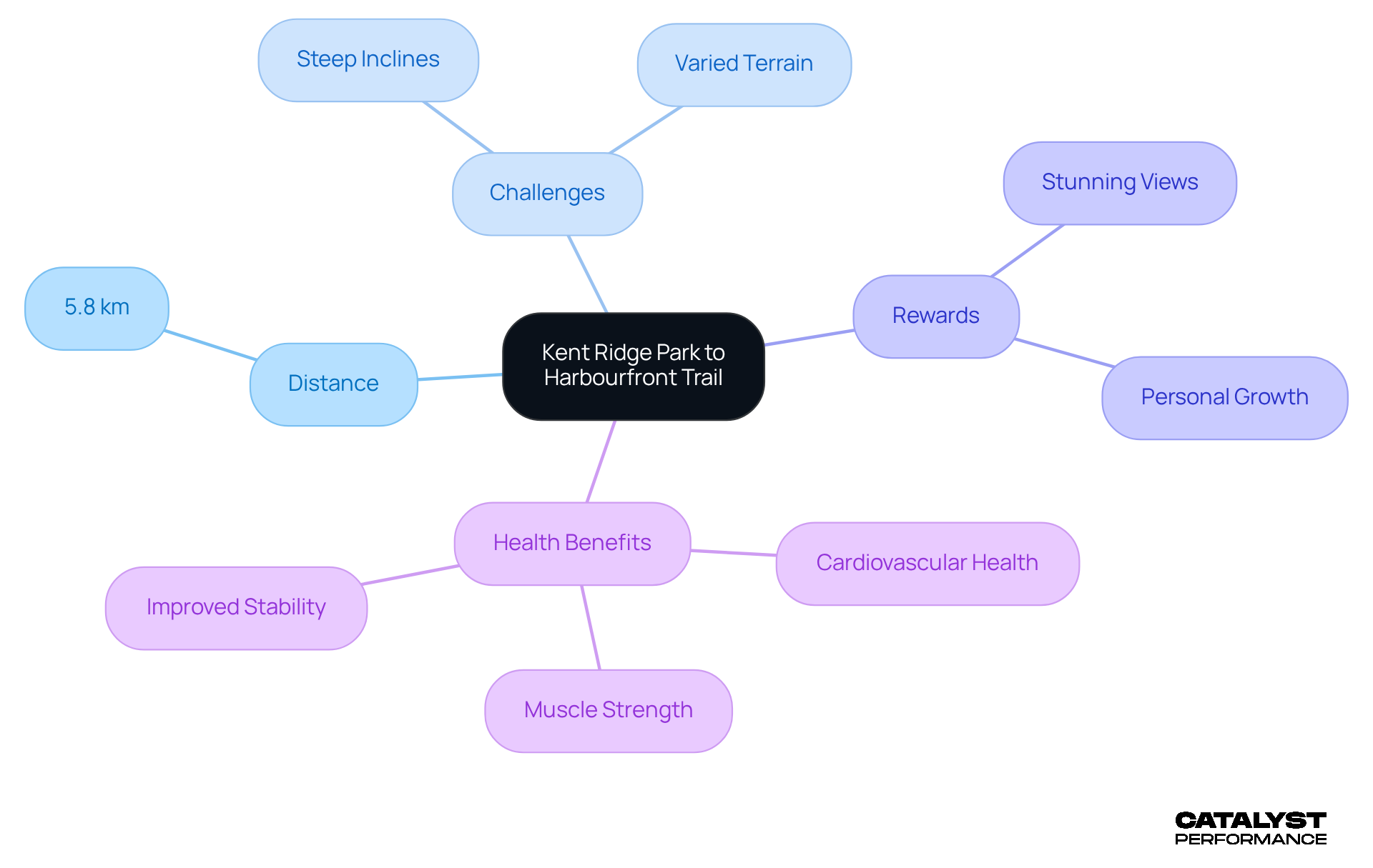 The central node represents the trail, while the branches highlight important aspects like distance, challenges, rewards, and health benefits. Follow the branches to understand how each part contributes to the overall experience of this fitness journey.