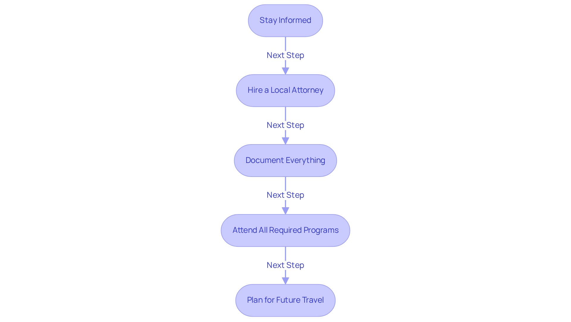 This flowchart outlines the steps tourists should take when facing a DUI charge. Each box represents a key strategy, and the arrows show the order in which to approach them. Following these steps can help ensure that tourists manage their situation effectively and protect their rights.