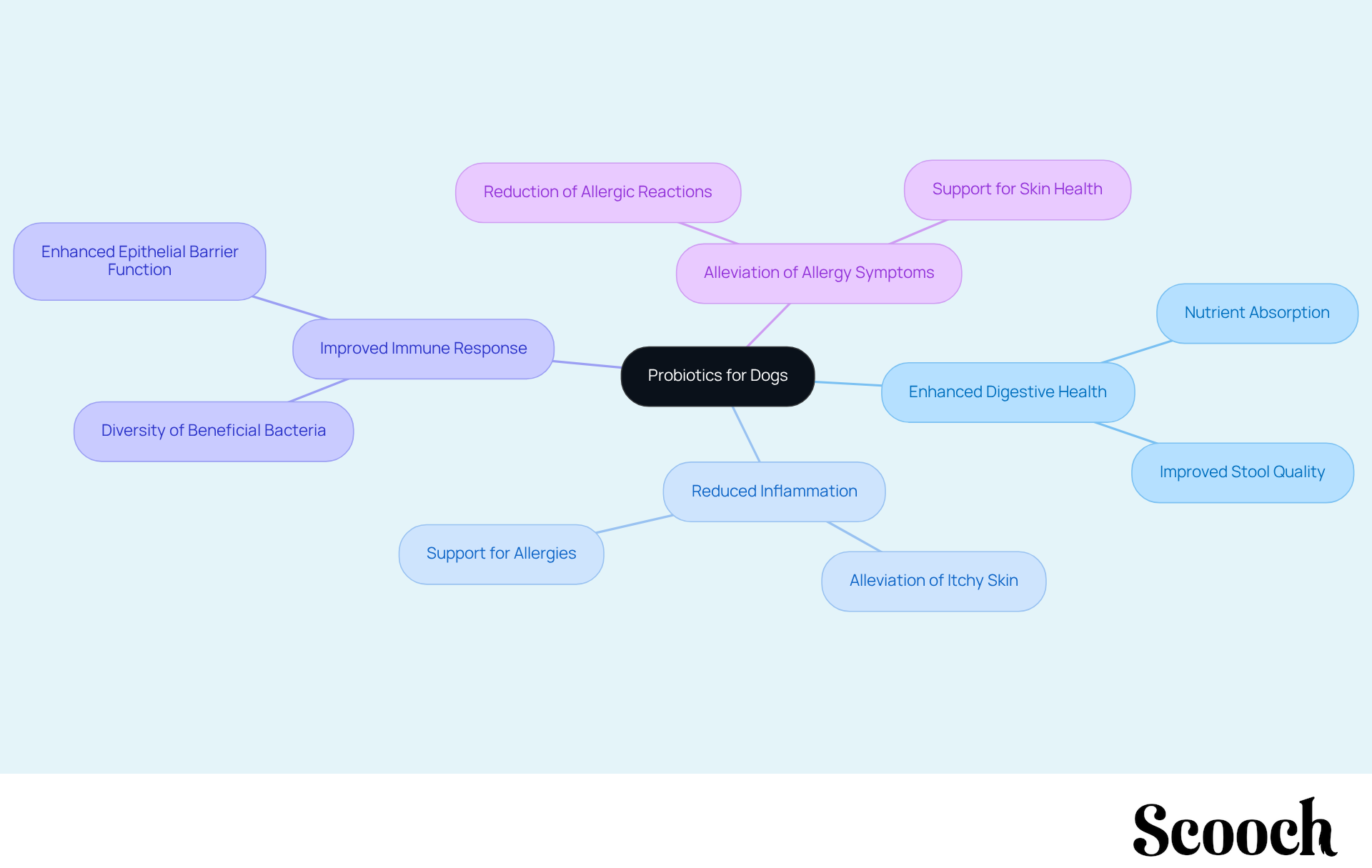 The central node represents the main topic, while the branches show the various benefits of probiotics for your dog's health. Each sub-branch provides more detail on how these benefits contribute to your dog's well-being.