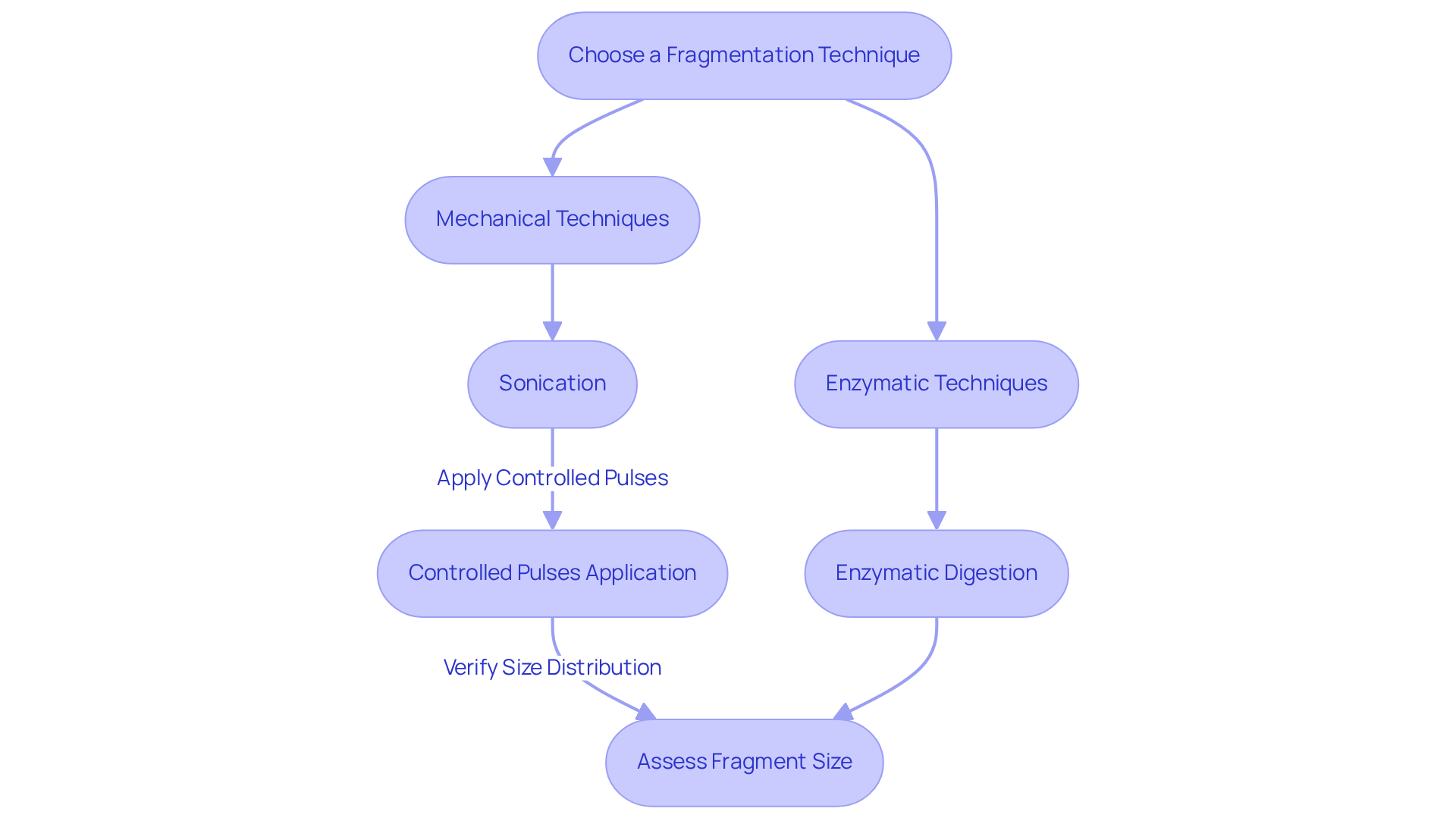 Each box represents a step in the DNA fragmentation process. Follow the arrows to see how to move from choosing a technique to assessing the final fragment sizes.
