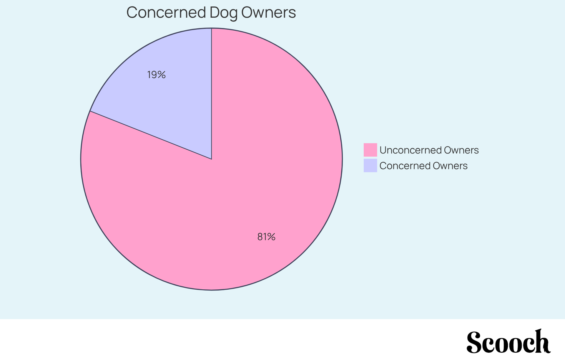 This slice shows the percentage of dog owners worried about their pet's well-being as they age. The larger remaining portion indicates those who do not share this concern.