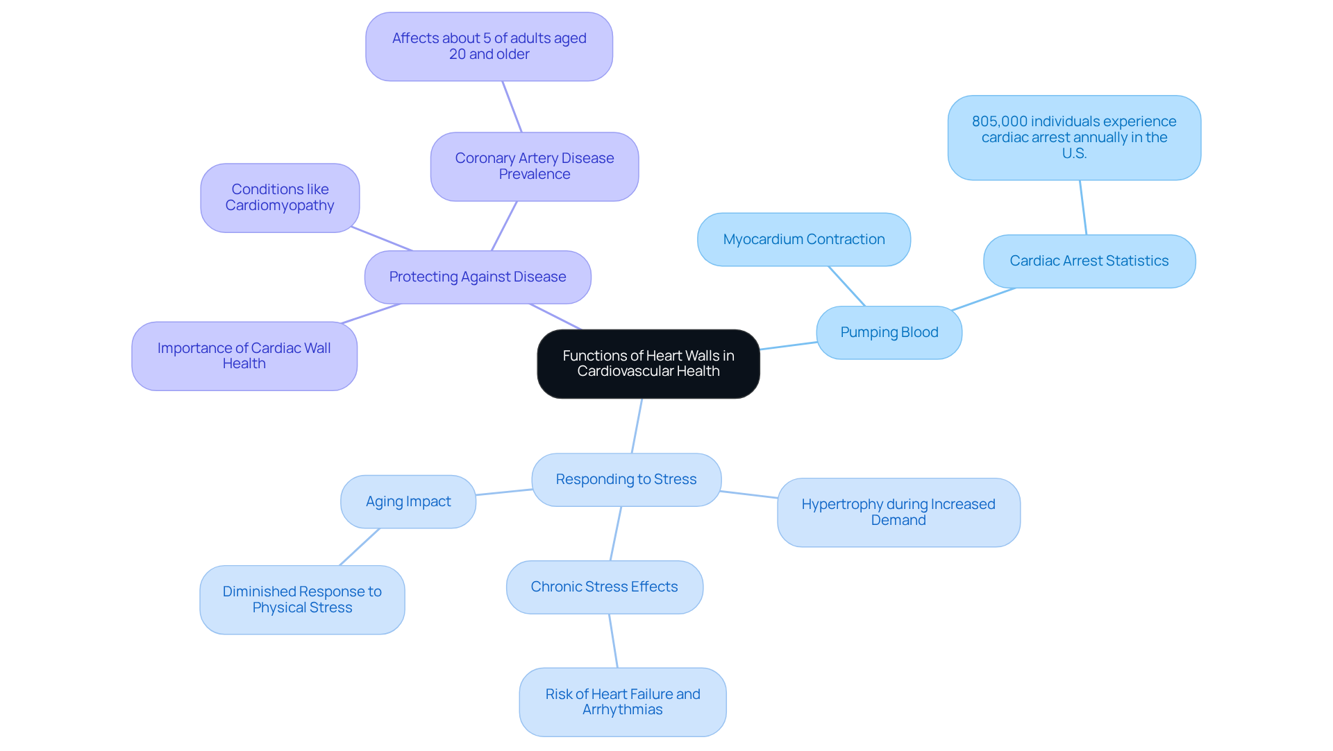 The central node represents the overall theme, while the branches show the specific functions of heart walls. Each sub-branch provides important details and statistics related to that function, helping you understand how they contribute to cardiovascular health.