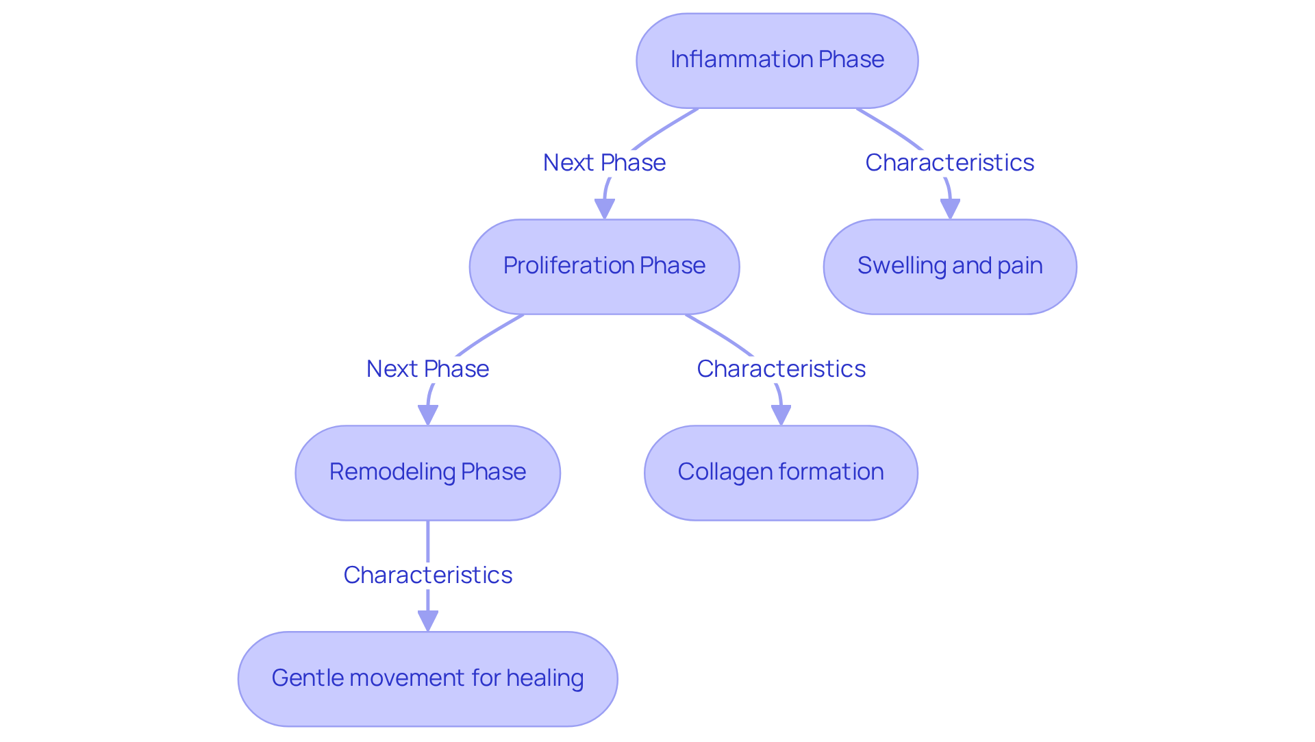 This flowchart outlines the three phases of ligament healing. Each box represents a phase, and the arrows show how you progress from one phase to the next. The bullet points provide quick insights into what happens during each phase, helping you understand the healing journey.