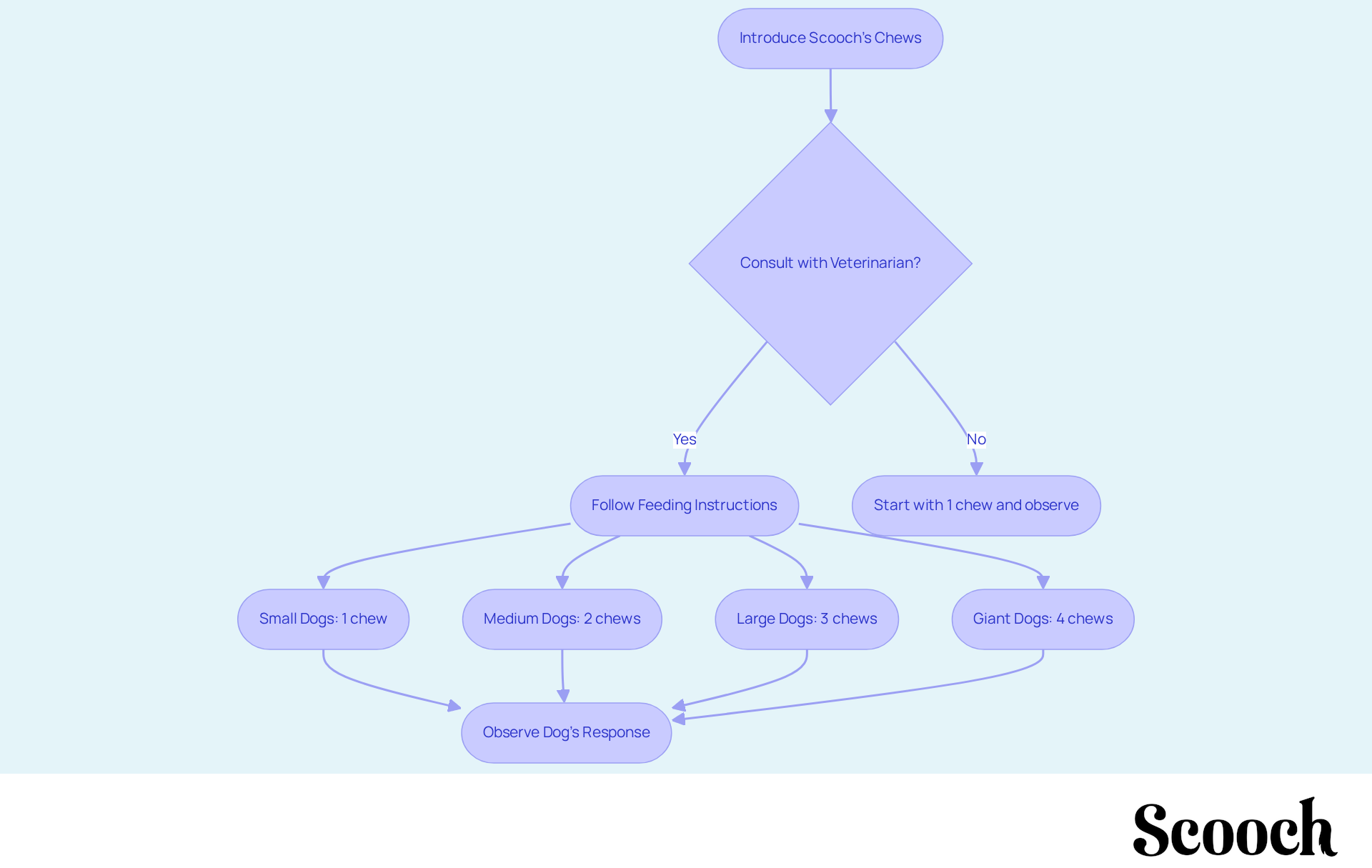 This flowchart guides you through using Scooch's chews for your dog. Start by consulting your vet, then follow the feeding instructions based on your dog's weight. Always observe how your dog reacts to the new chews! This flowchart guides you through using Scooch's chews for your dog. Start by consulting your vet, then follow the feeding instructions based on your dog's weight. Always observe how your dog reacts to the new chews!