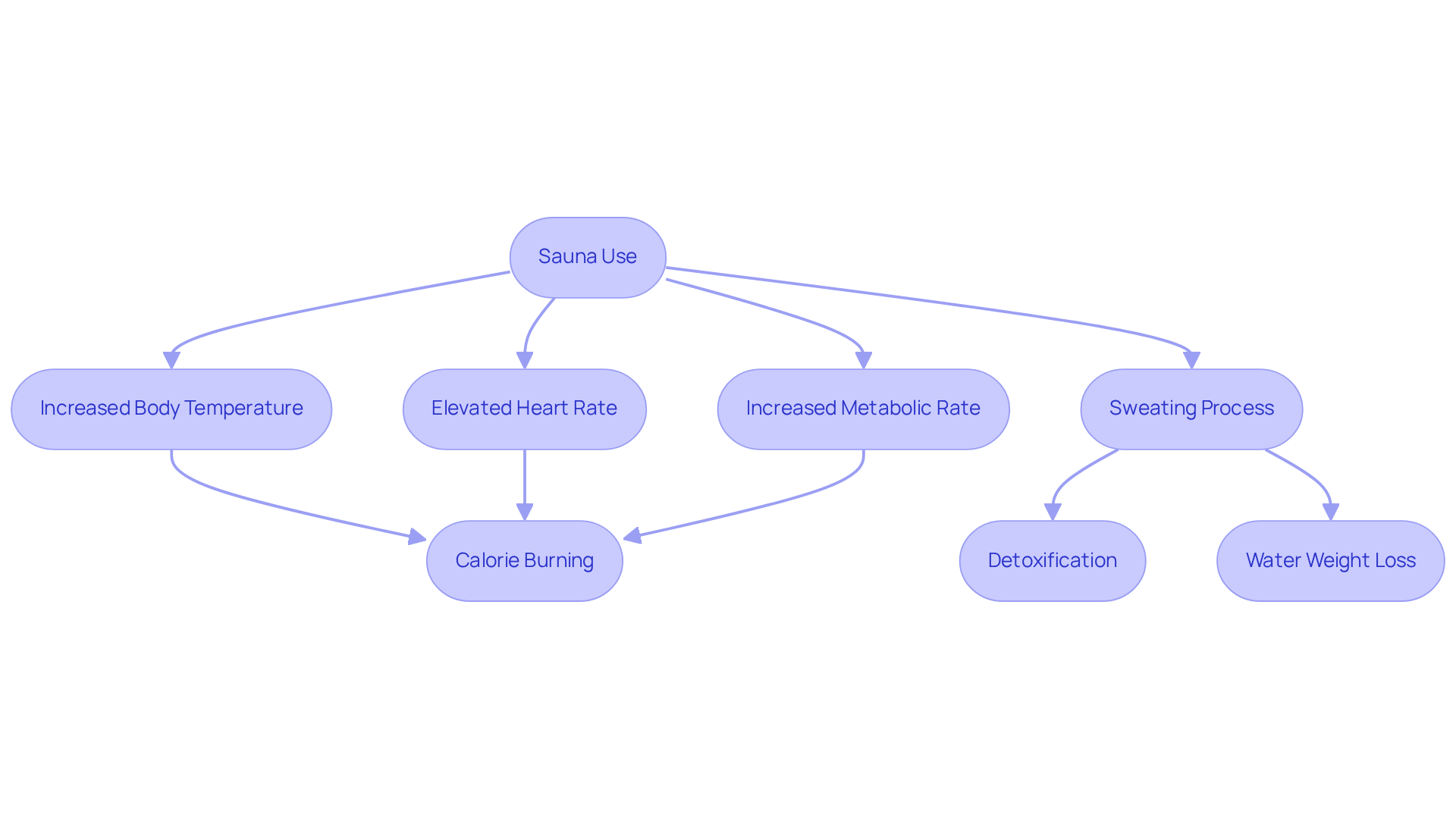 Follow the arrows to see how using a sauna affects your body. Each step shows a different response that helps with weight loss, from heating up your body to burning calories and detoxifying through sweat. Follow the arrows to see how using a sauna affects your body. Each step shows a different response that helps with weight loss, from heating up your body to burning calories and detoxifying through sweat.