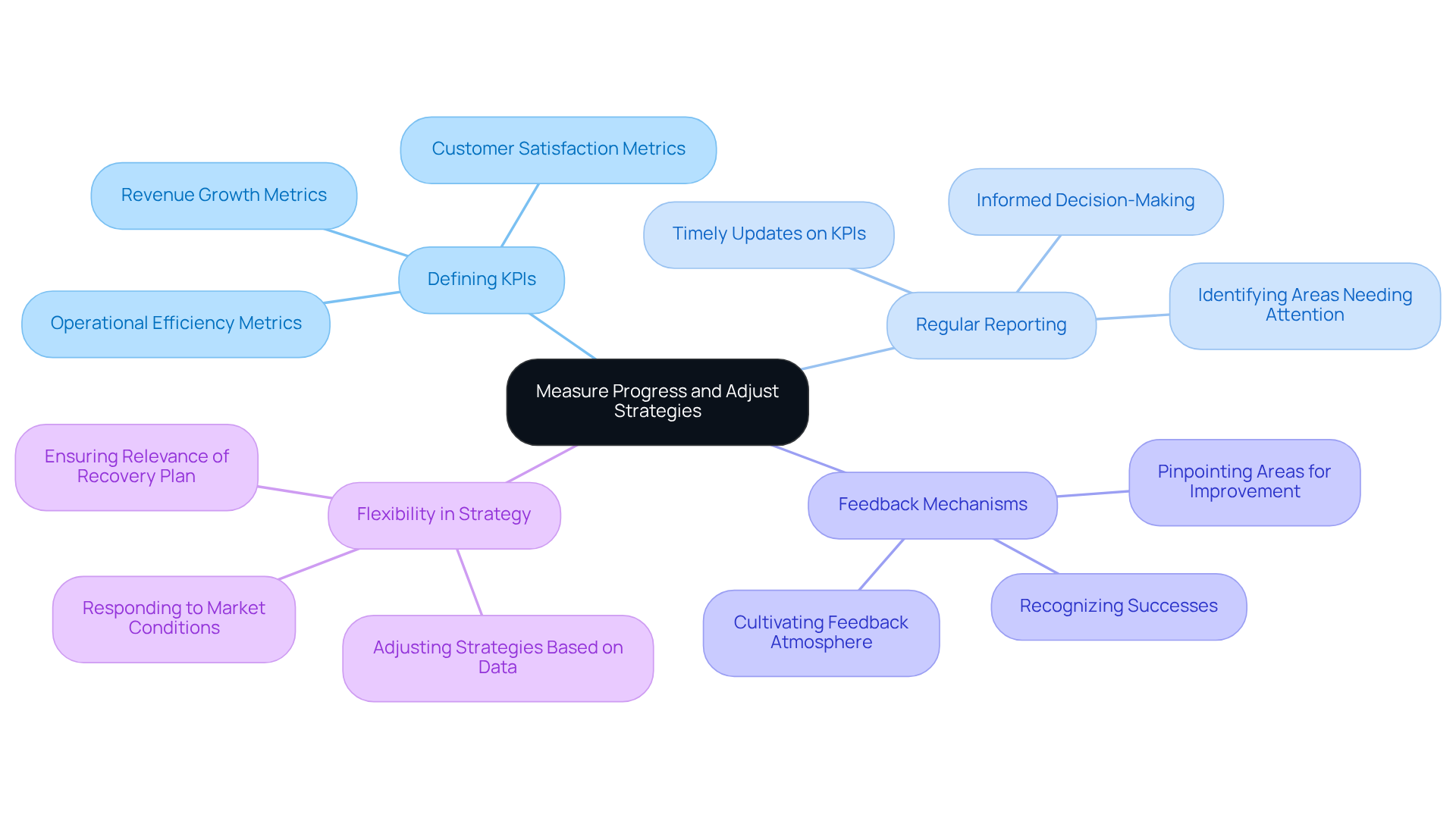 The central node represents the main goal of measuring progress. Each branch shows a key practice that supports this goal. Follow the branches to see how each practice contributes to effective recovery efforts.