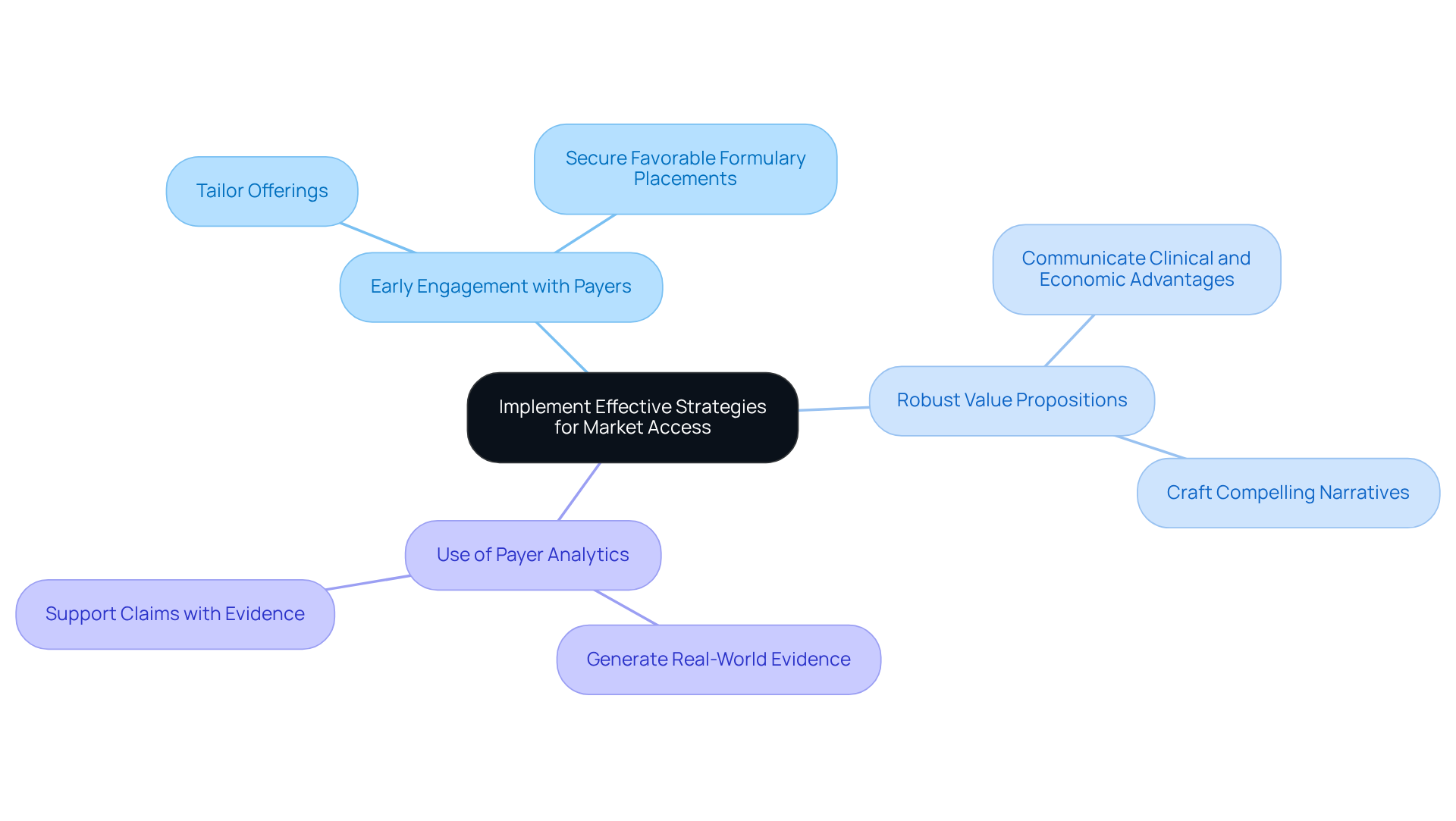 Start at the center with the main strategy for market access, then follow the branches to explore the key components and actions that support it. Each color-coded branch highlights different strategic areas, making it easy to see how they work together.