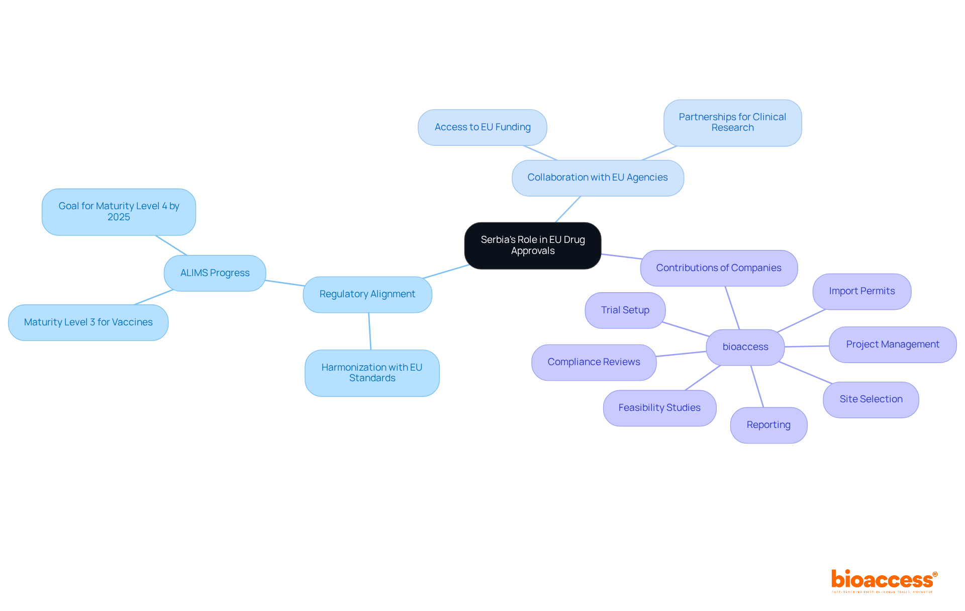 The central node represents Serbia's role, with branches showing key areas of focus and contributions. Each sub-branch details specific actions or strengths, helping you see how they all connect to the main theme.