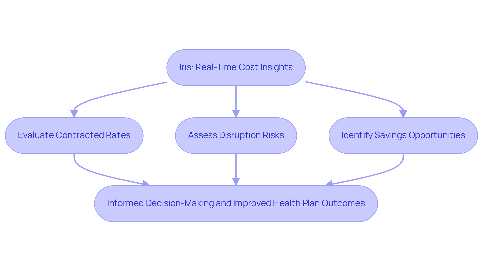 This flowchart shows how Iris helps healthcare consultants make better decisions. Each step represents a key action that leads to improved outcomes for clients.