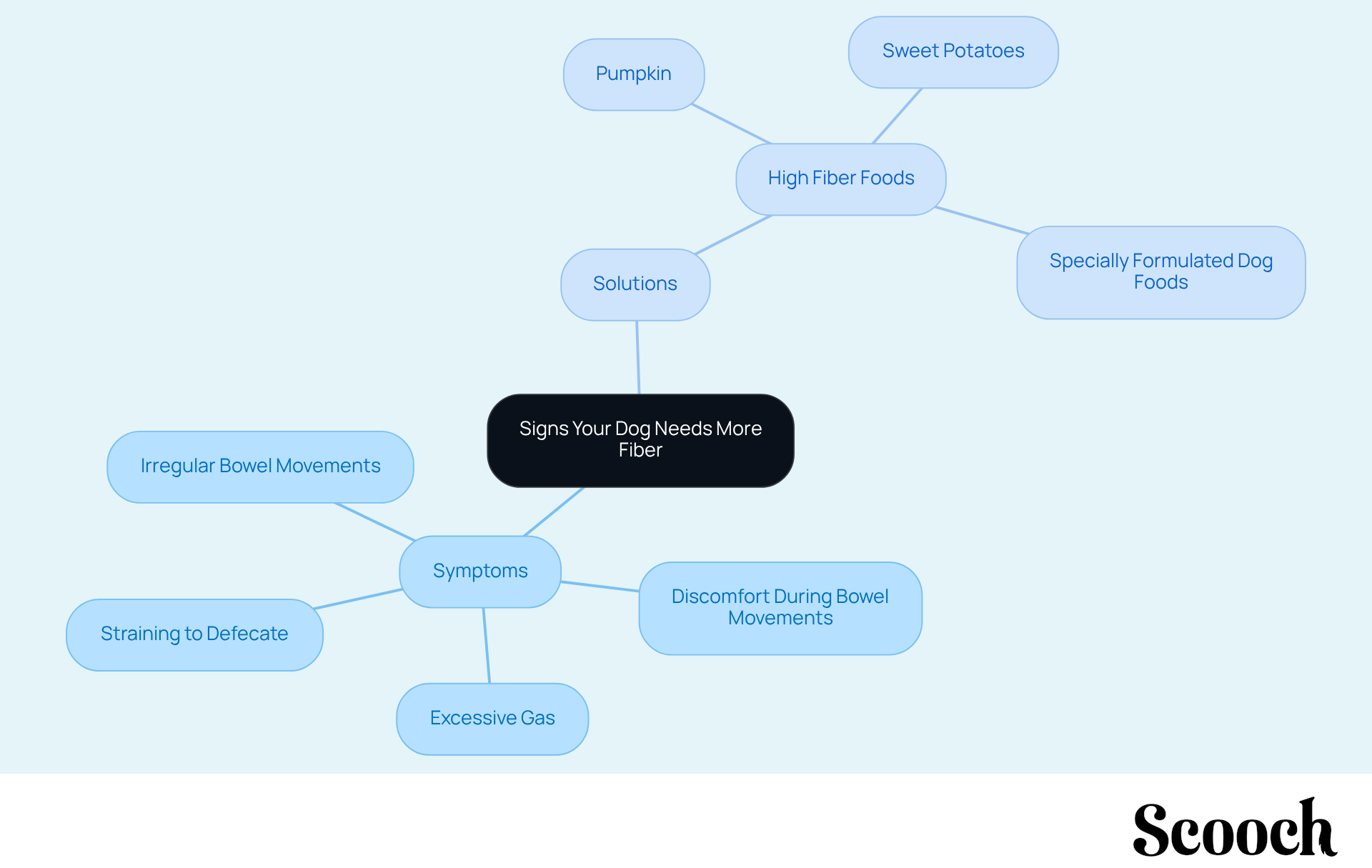 The center shows the main topic, while the branches illustrate symptoms and solutions. Each symptom leads to dietary suggestions, helping you understand how to support your dog's digestive health. The center shows the main topic, while the branches illustrate symptoms and solutions. Each symptom leads to dietary suggestions, helping you understand how to support your dog's digestive health.