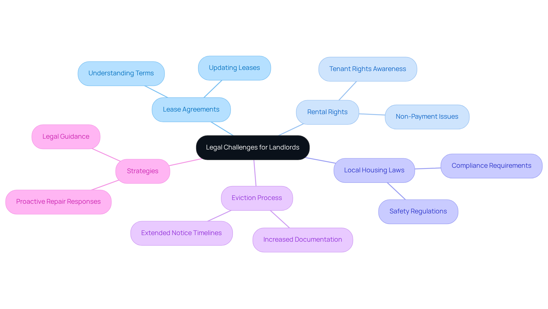 The center represents the main theme of legal challenges. Each branch shows a specific area of concern, and the sub-branches provide details on challenges or strategies related to that area. Follow the branches to see how everything connects!