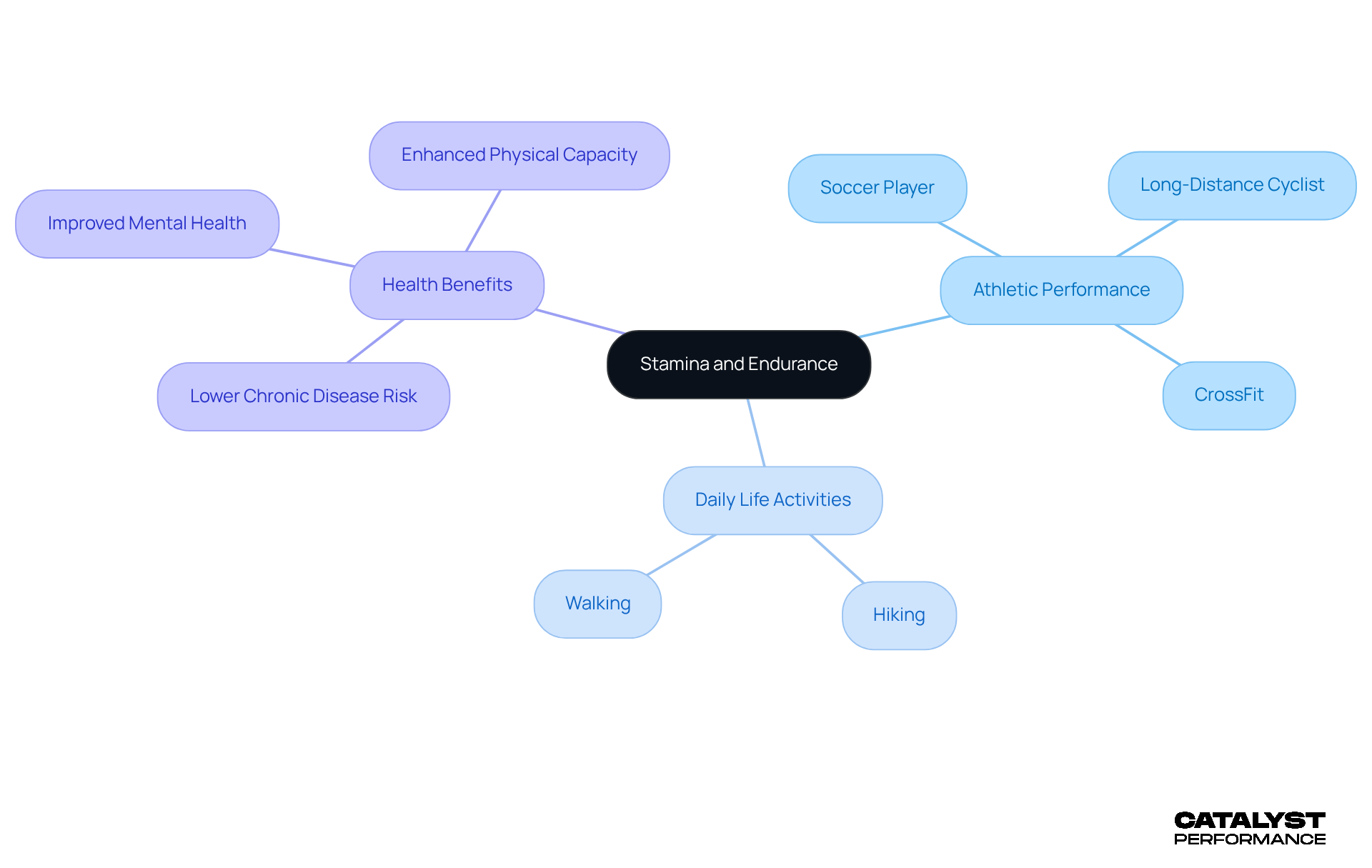 The central node represents the main theme, while the branches show different areas where stamina and endurance are applied. Each example illustrates how these concepts play a role in both sports and everyday activities. The central node represents the main theme, while the branches show different areas where stamina and endurance are applied. Each example illustrates how these concepts play a role in both sports and everyday activities.