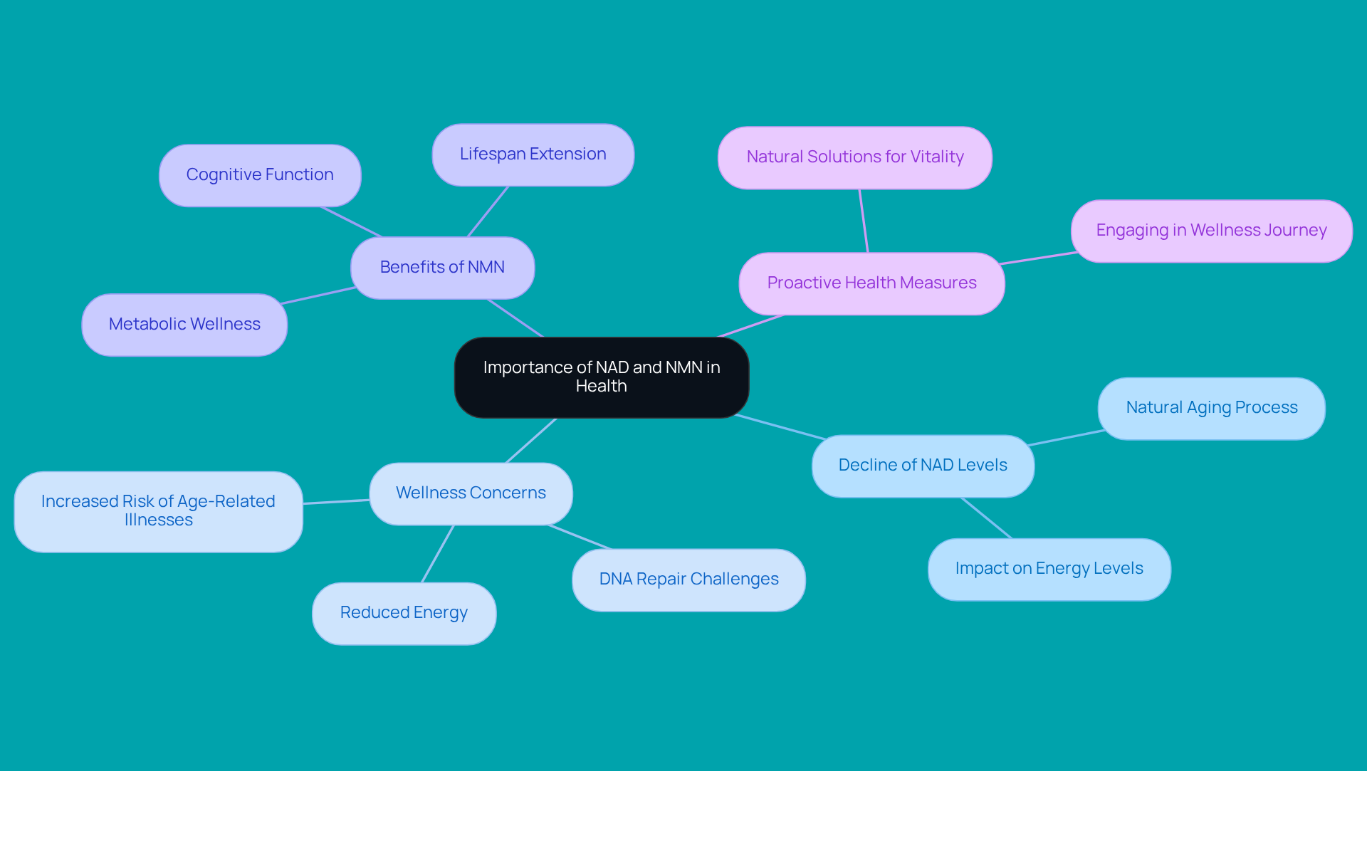 The central node represents the overall importance of NAD and NMN. Each branch shows related topics, helping you understand how these supplements can impact your health as you age.