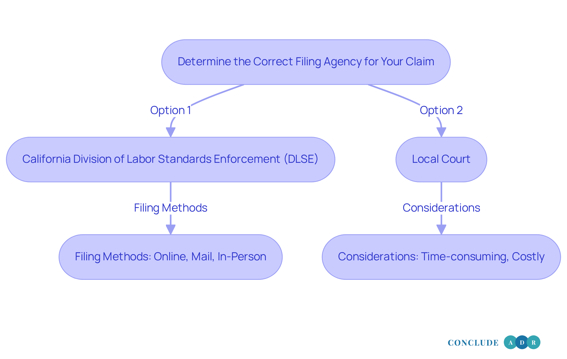 Follow the arrows to see your options for filing a salary dispute claim. Each box represents a choice, and the notes below provide important details to consider for each option.