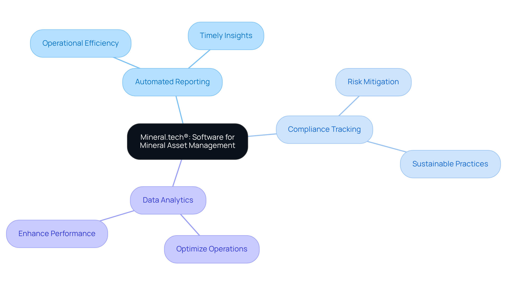 The central node represents the specialized software, while branches show its key features. Each sub-branch explains how these features contribute to better mineral asset management.