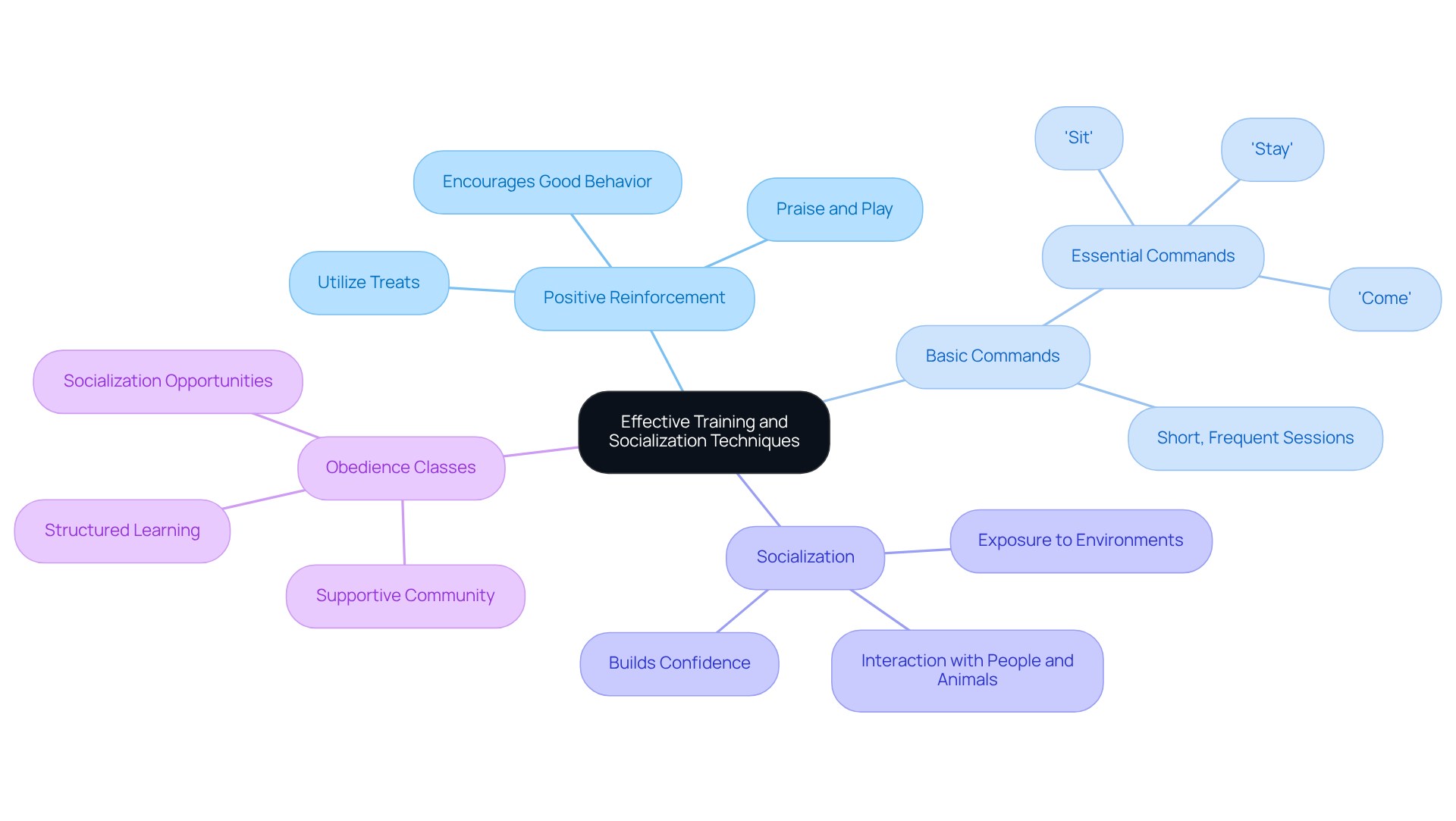 At the center is the main focus on training and socialization. Each branch represents a technique, with smaller branches showing how to implement each one or its benefits. The colors help differentiate the techniques and make the map visually appealing.