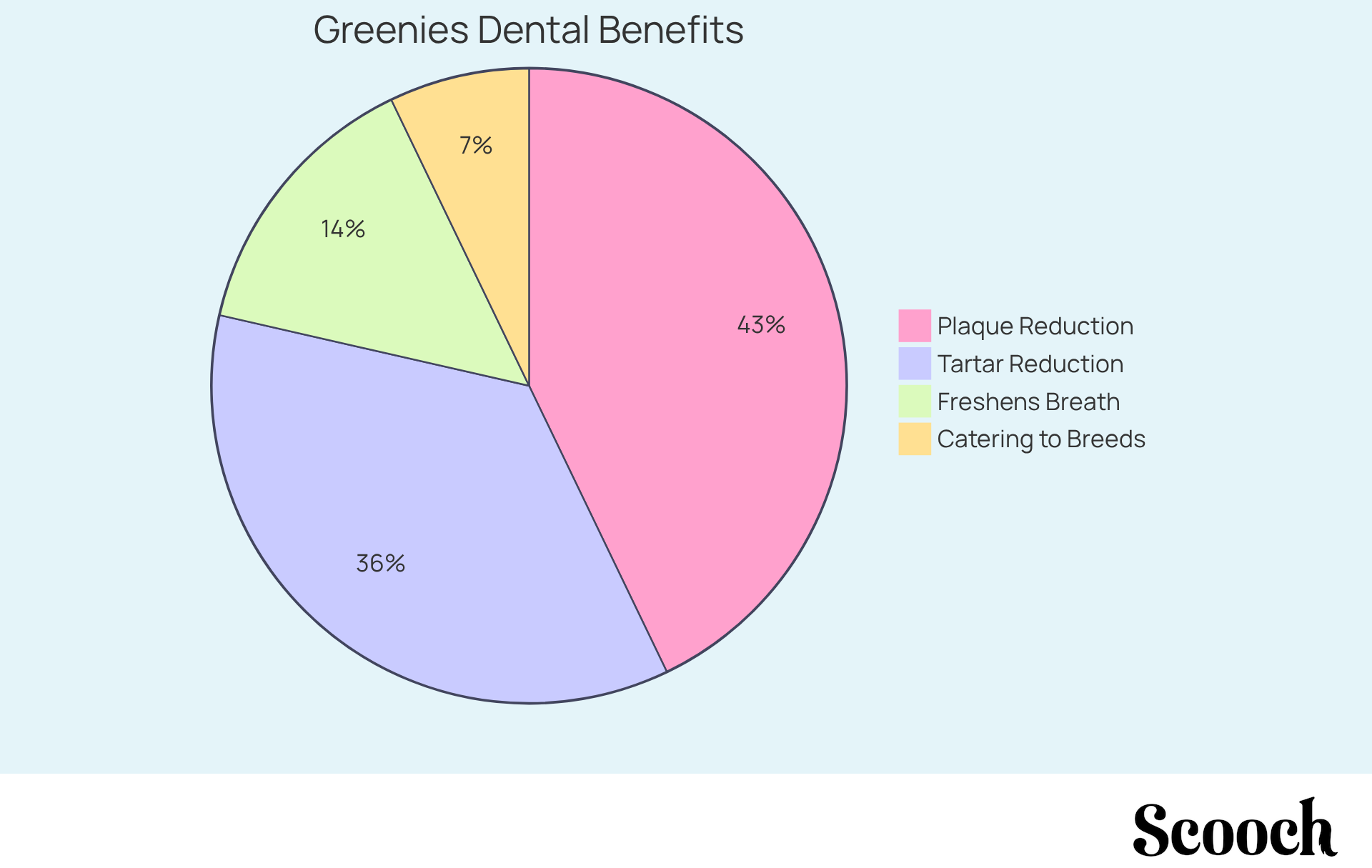 Each slice of the pie shows a different benefit of using Greenies for your dog's dental health. The bigger the slice, the more significant the benefit!