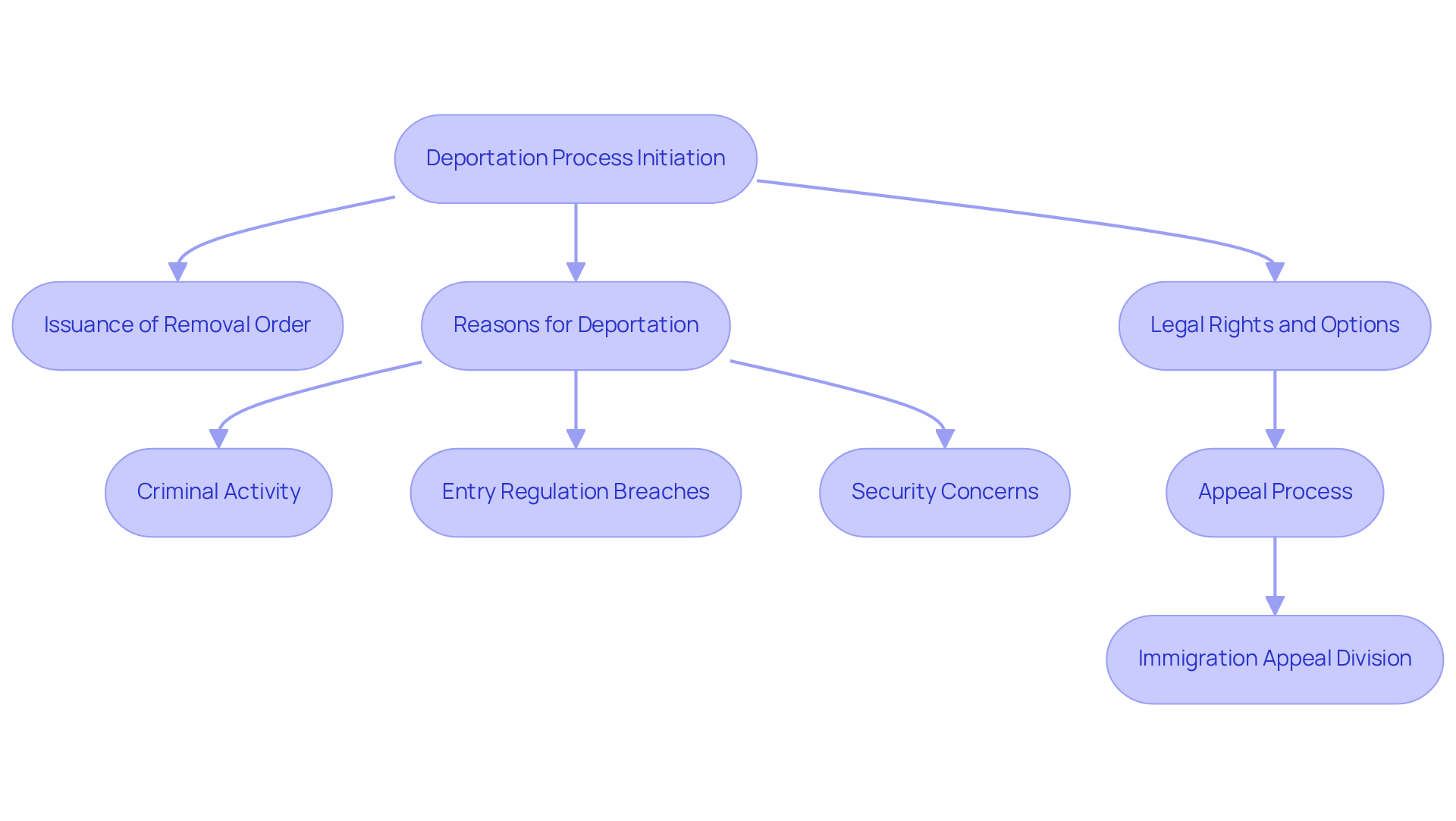 This flowchart outlines the steps involved in the deportation process. Start at the top with the initiation of the process, follow the arrows to see the reasons for deportation, and explore the legal rights and options available to individuals facing removal.