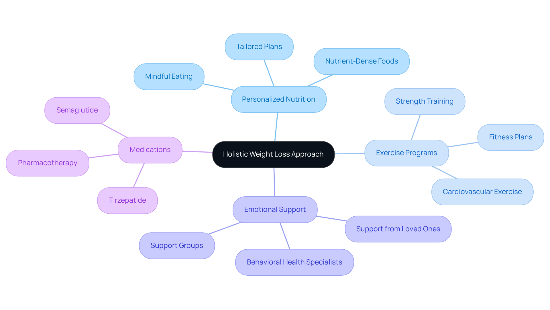 Start at the center with the main concept of a holistic approach, then follow the branches to explore how personalized nutrition, exercise, emotional support, and medications work together to support your weight loss journey.