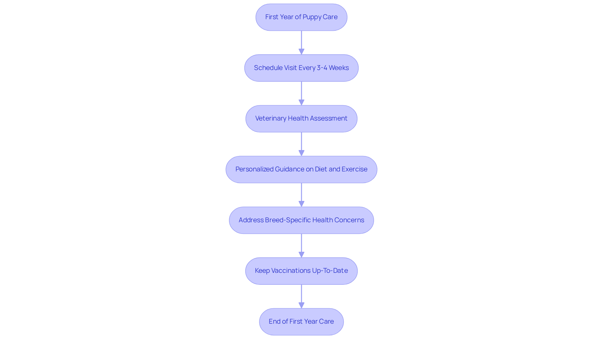 This flowchart guides you through the essential steps to ensure your lab puppy's health during their first year. Follow the arrows to see when and why to schedule visits.