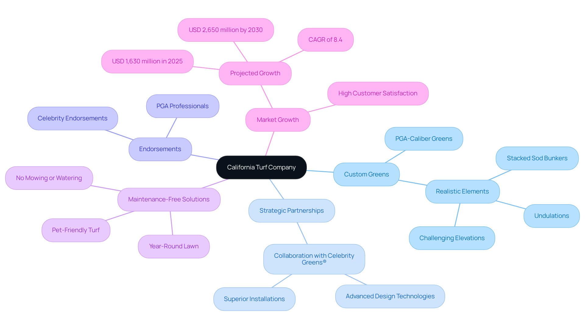 The central node represents the company, while the branches show key areas of focus. Each sub-branch provides more detail about that area, helping you understand the company's strengths and market position.