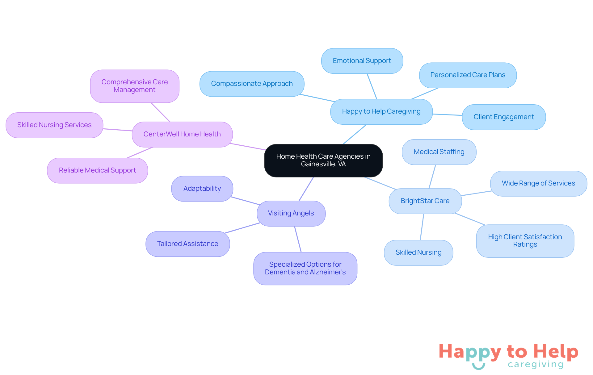 The central node represents the overall topic, while each branch shows a different agency. The sub-branches highlight what makes each agency special, helping families understand their options at a glance.