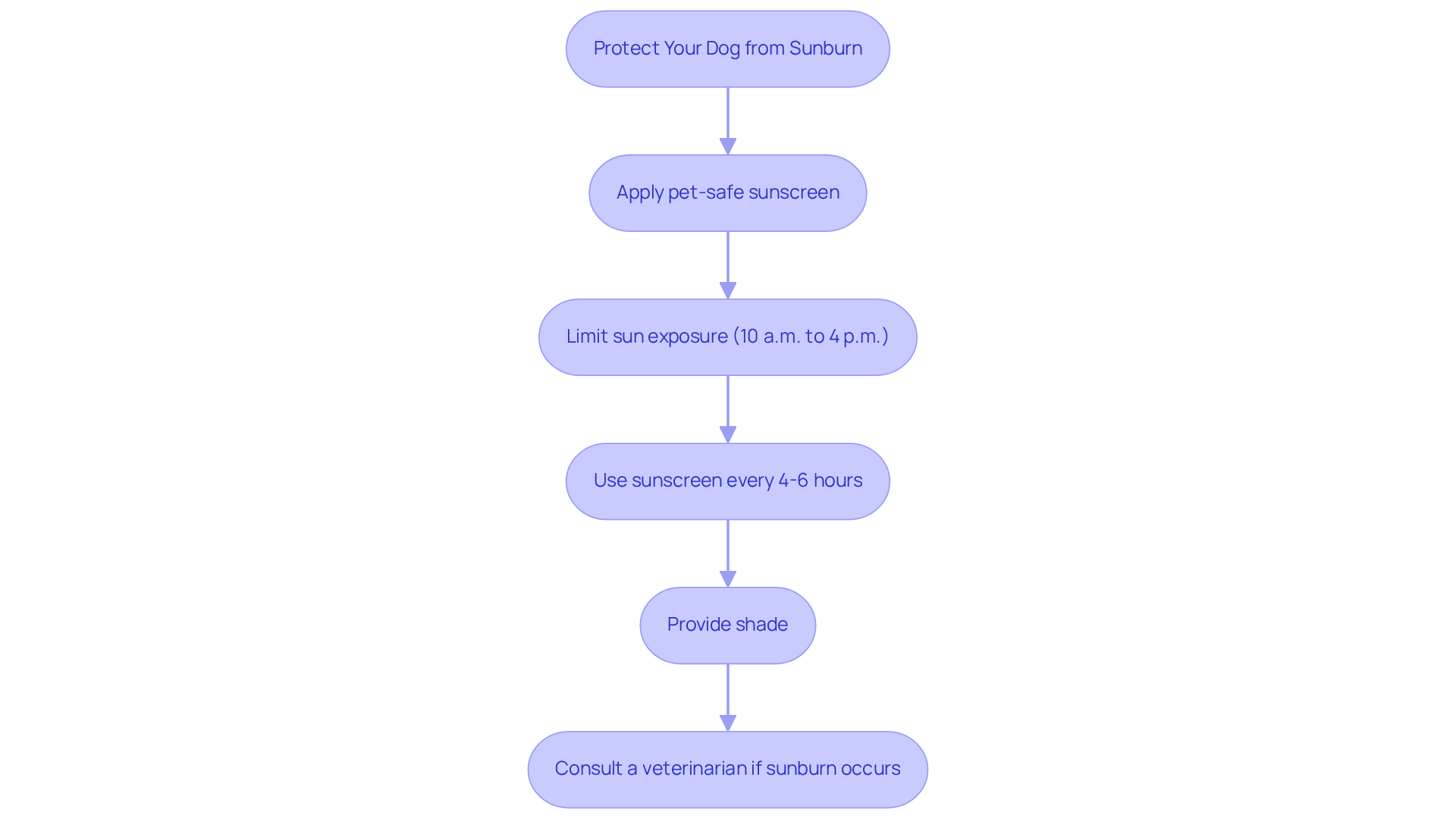 Each box represents a step in the process of protecting your dog from harmful UV rays — follow the arrows to see what to do at each stage.