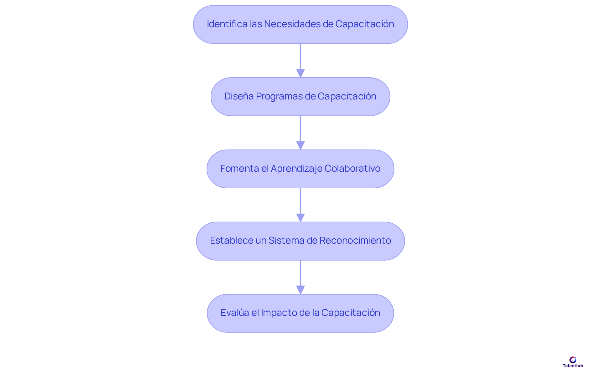 Cada cuadro representa un paso en el proceso de desarrollo del talento. Sigue las flechas para ver cómo cada etapa se conecta con la siguiente y cómo contribuyen al crecimiento de la organización. Cada cuadro representa un paso en el proceso de desarrollo del talento. Sigue las flechas para ver cómo cada etapa se conecta con la siguiente y cómo contribuyen al crecimiento de la organización.
