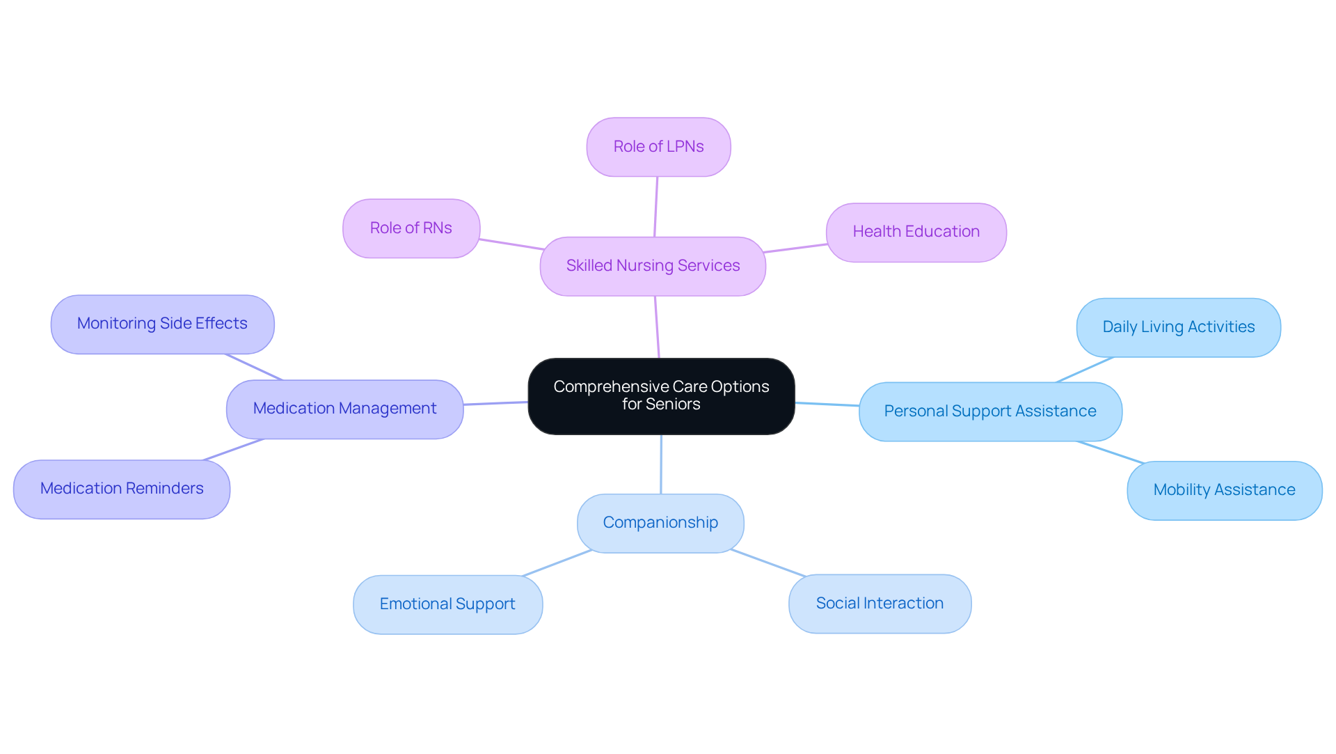 Start at the center with the main theme of care options, and follow the branches to explore each service type. The more branches you see, the wider the range of support available for seniors.