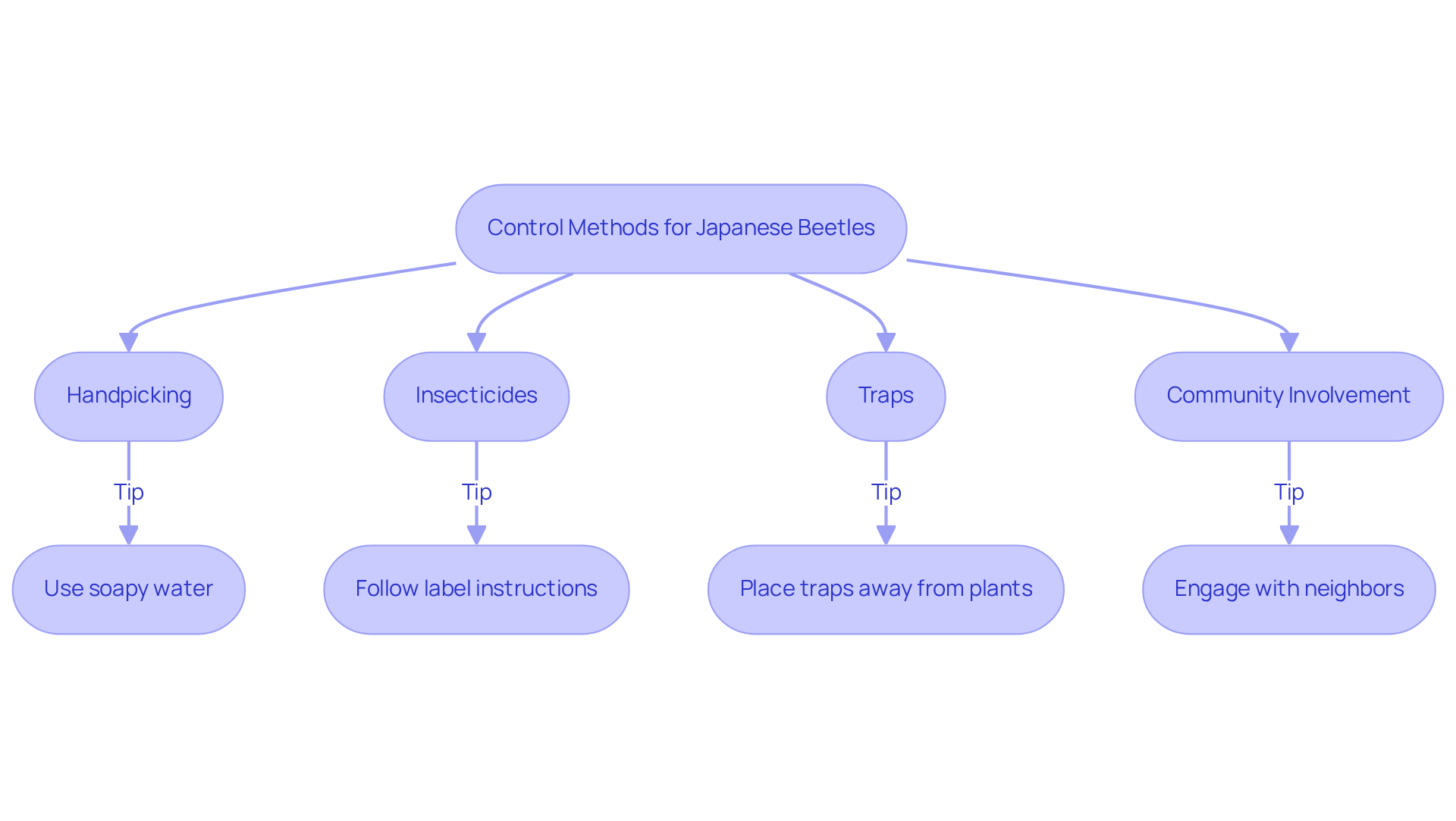Follow the flowchart to see different methods for managing Japanese beetles. Each box represents a method, and the arrows guide you through the steps you can take to protect your garden. Follow the flowchart to see different methods for managing Japanese beetles. Each box represents a method, and the arrows guide you through the steps you can take to protect your garden.