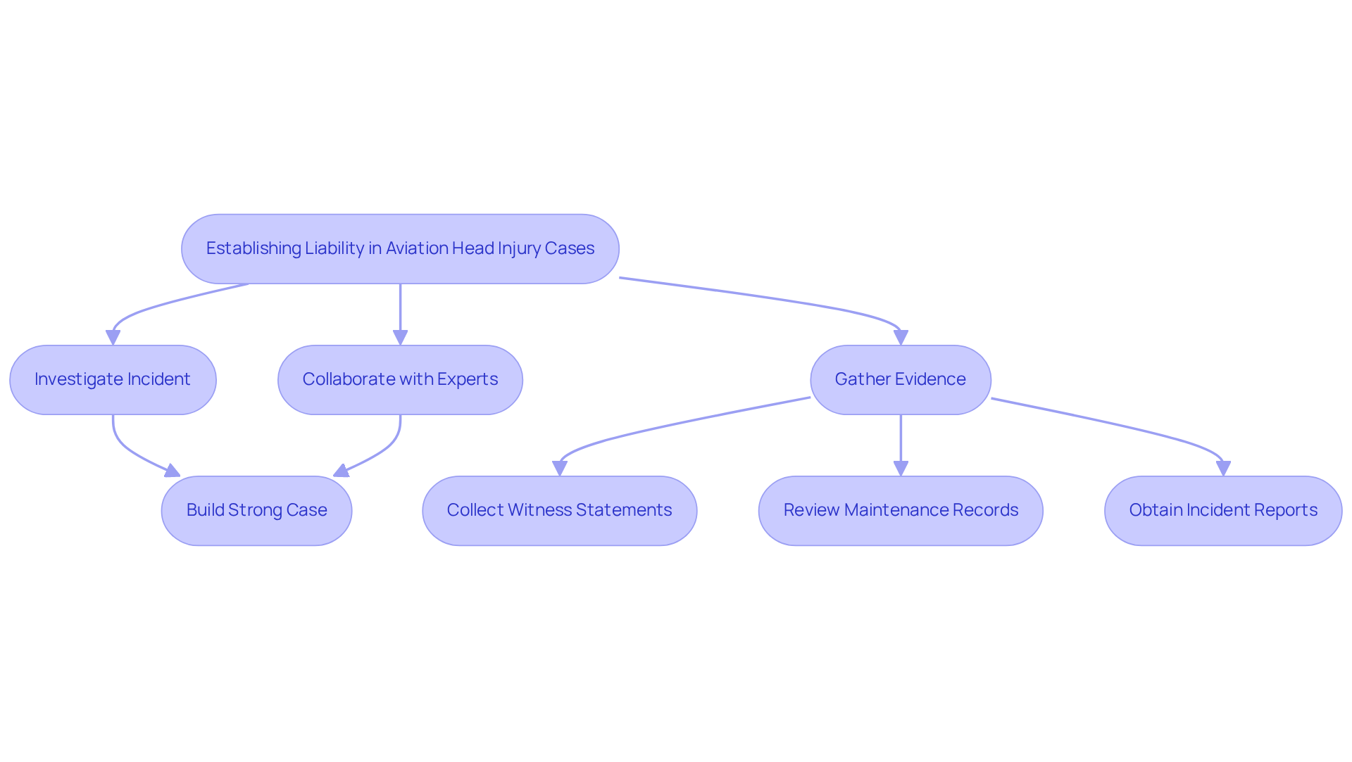 This flowchart outlines the steps involved in building a strong case. Start at the top with the main goal, then follow the arrows to see each action that needs to be taken, including gathering evidence and collaborating with experts.