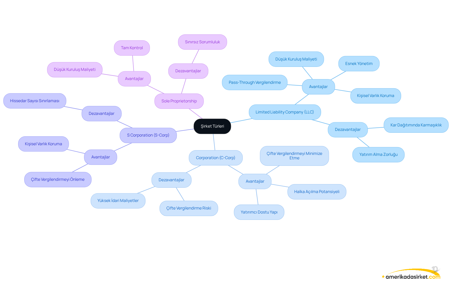 Merkezdeki başlık, tüm şirket türlerini kapsar. Dallar, her bir şirket türünü temsil ederken, alt başlıklar o türün avantajlarını ve dezavantajlarını gösterir. Renkler, her bir şirket türünü ayırt etmeye yardımcı olur.