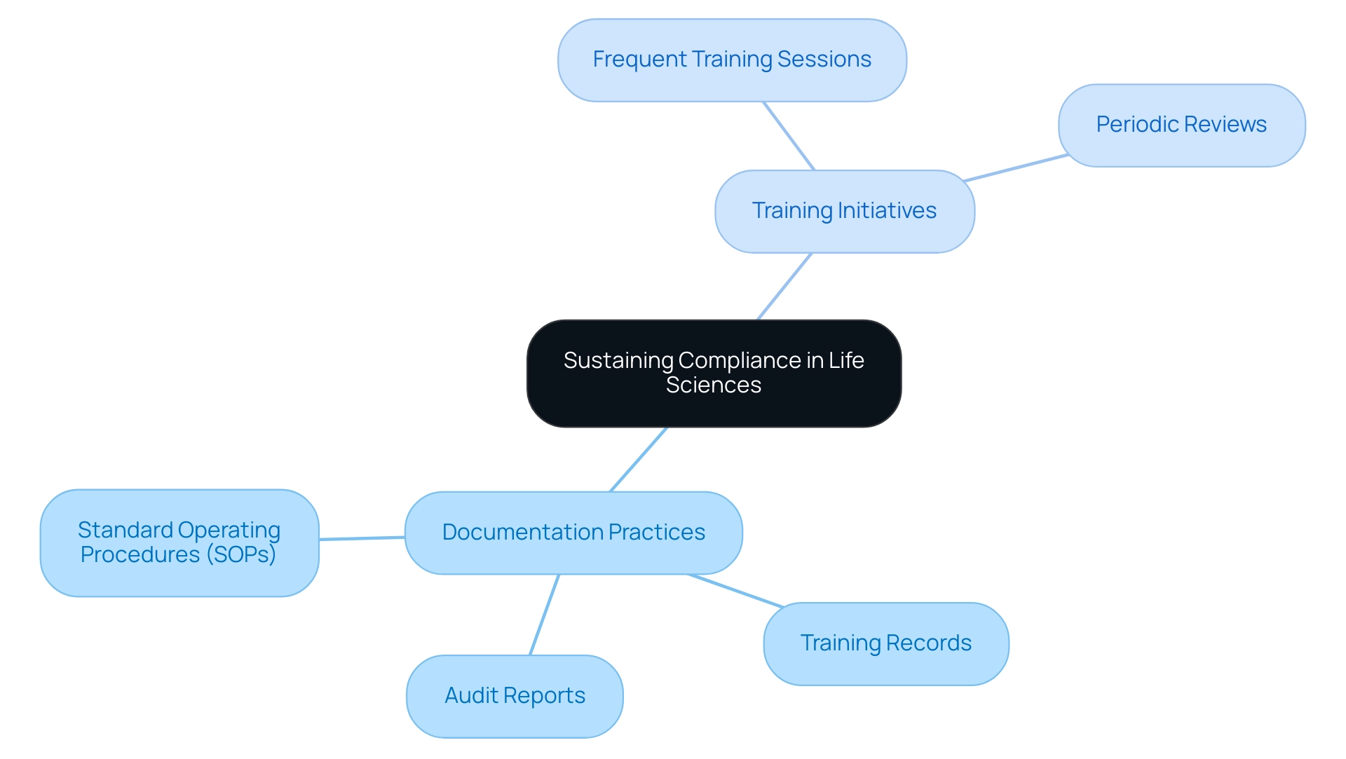 The central node represents the goal of compliance, with branches indicating the key areas of documentation and training initiatives.