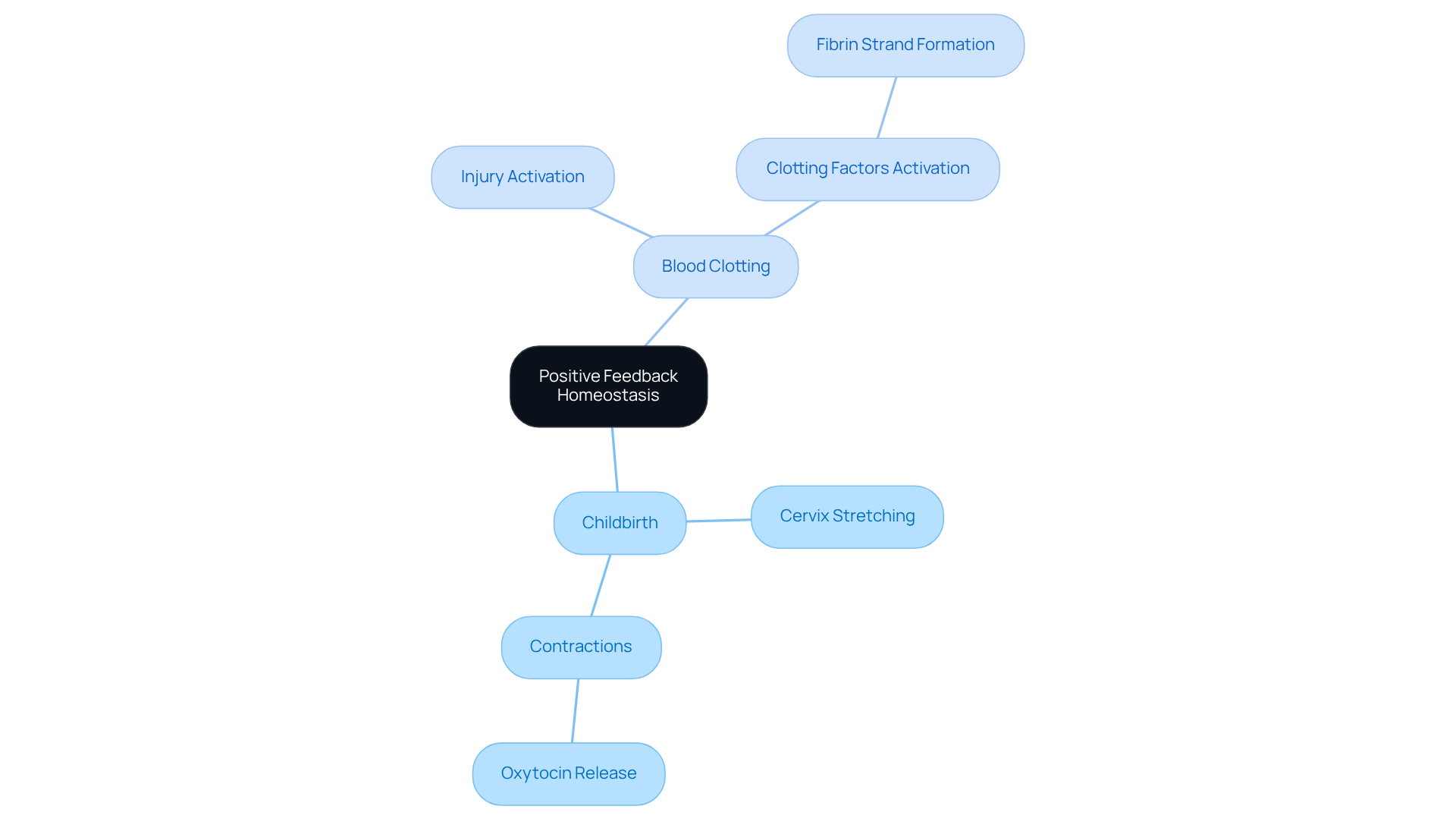 The central node represents the main concept, while the branches show real-life examples. Each example illustrates how the initial stimulus leads to an enhanced response, making the biological process clearer.