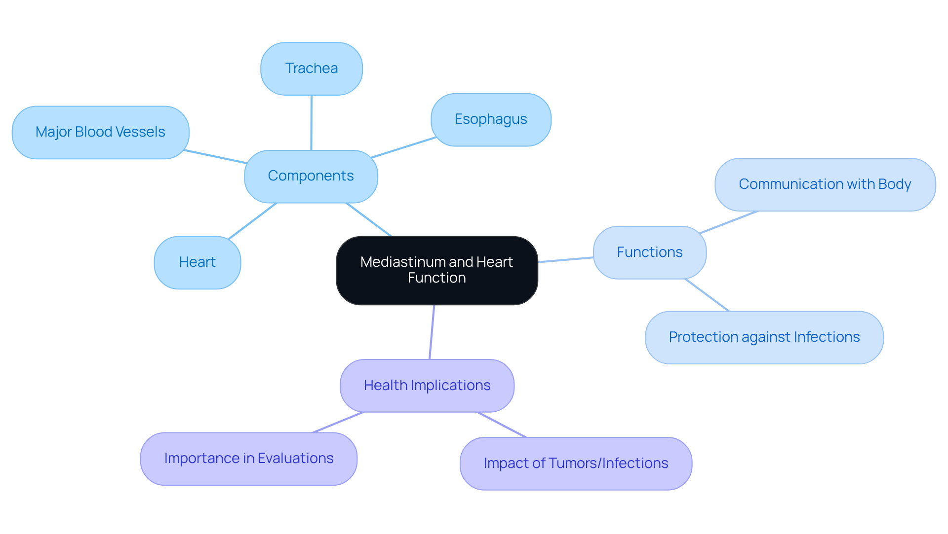 The central node represents the mediastinum, while the branches show its components, functions, and health implications. Each color-coded branch helps you see how these elements are related to heart health.