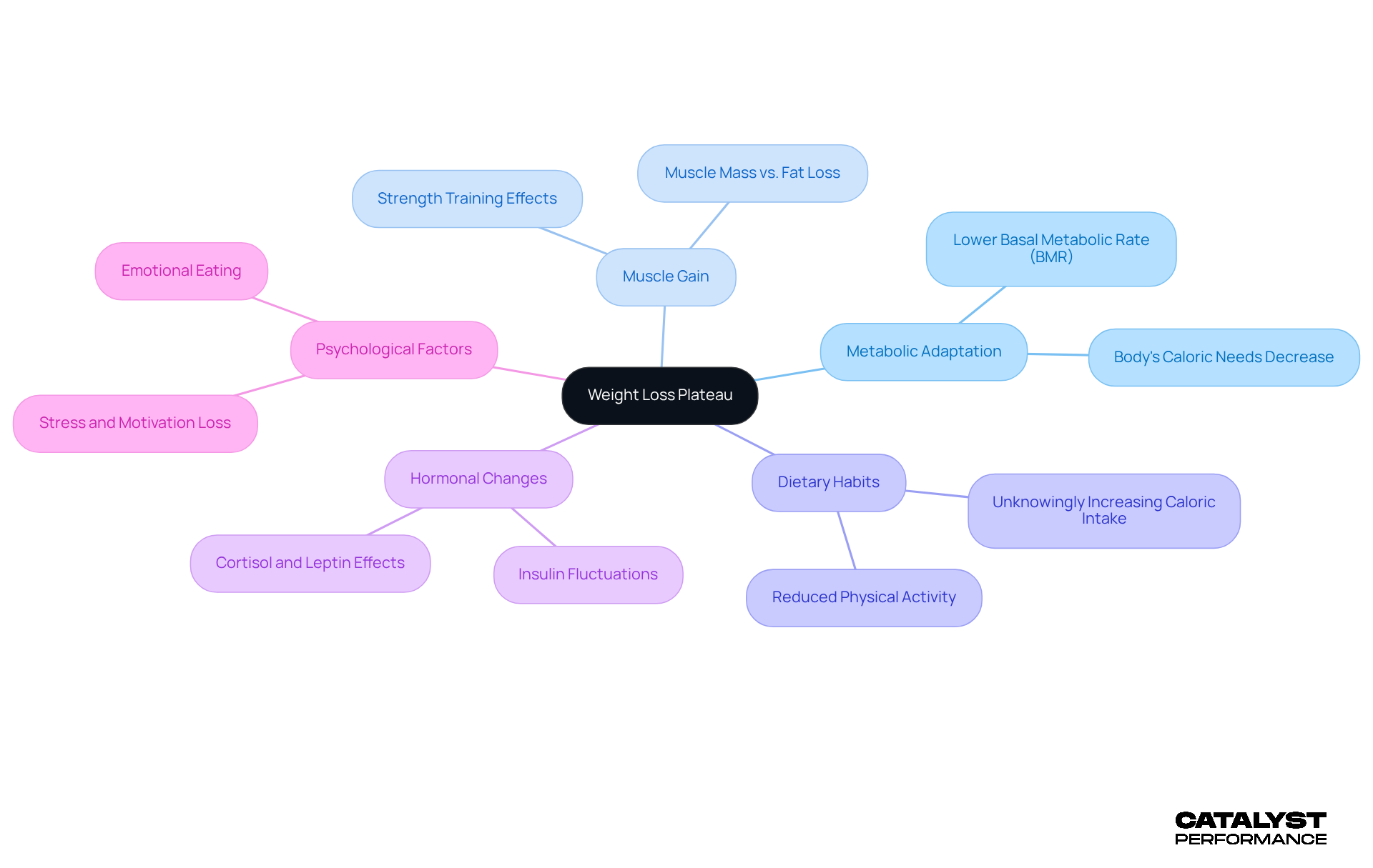 The center represents the main topic of weight loss plateaus. Each branch shows a different cause, and the sub-branches provide more details. This layout helps you see how various factors contribute to the experience of hitting a plateau.
