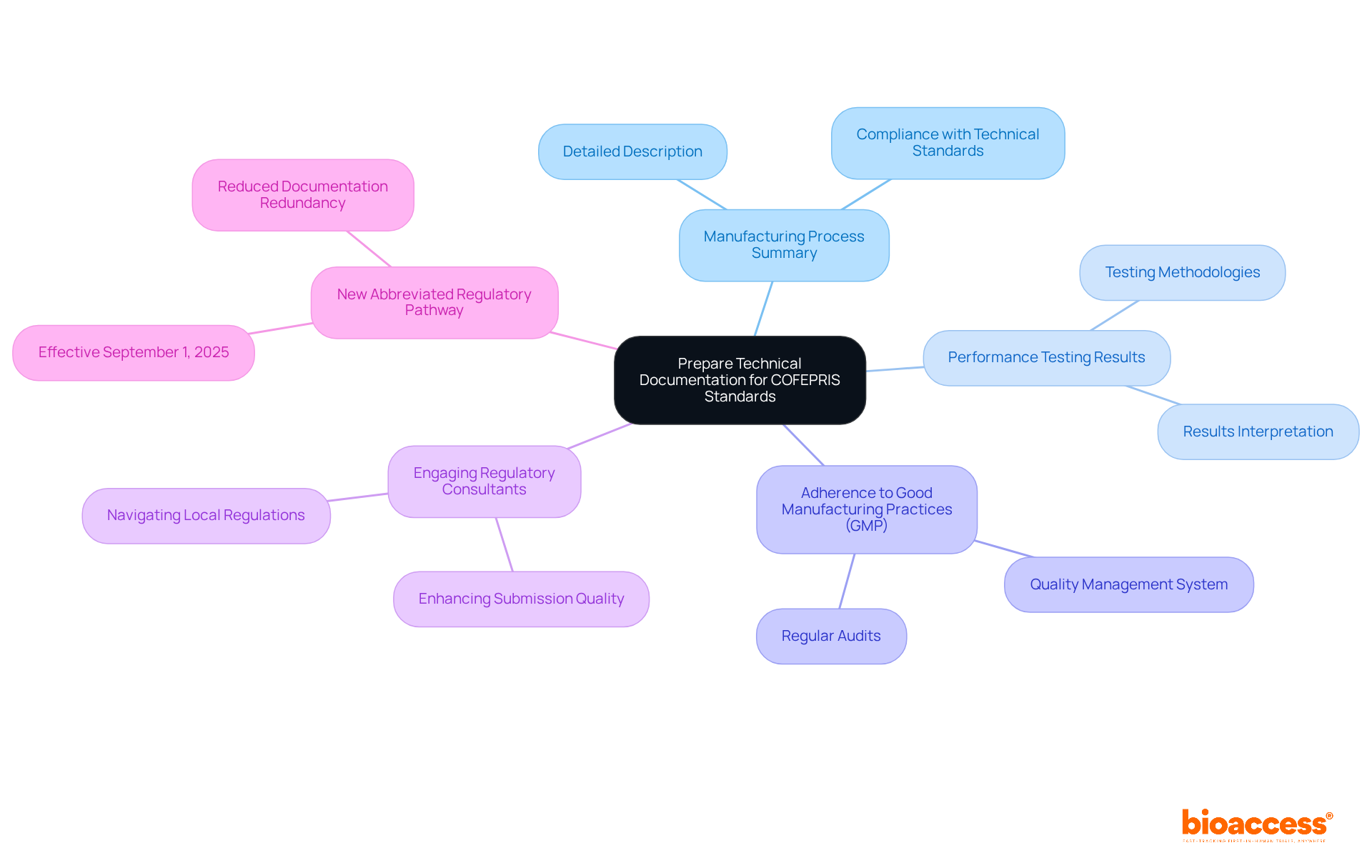 The center represents the main task of preparing documentation, while the branches show the essential components that need to be included. Each color-coded branch helps you quickly identify different areas of focus.